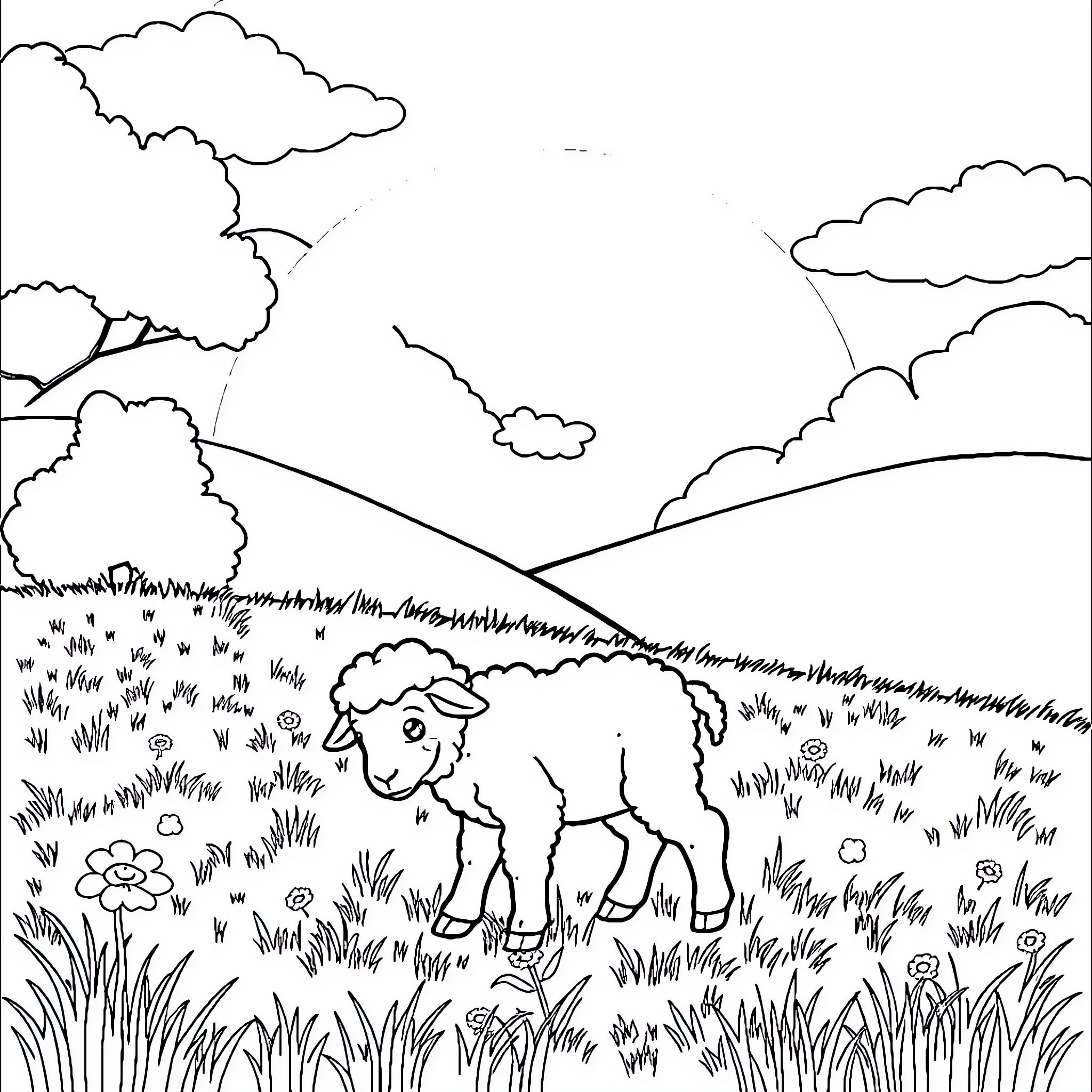 Best Sheep Coloring Pages (Free Printable PDF)