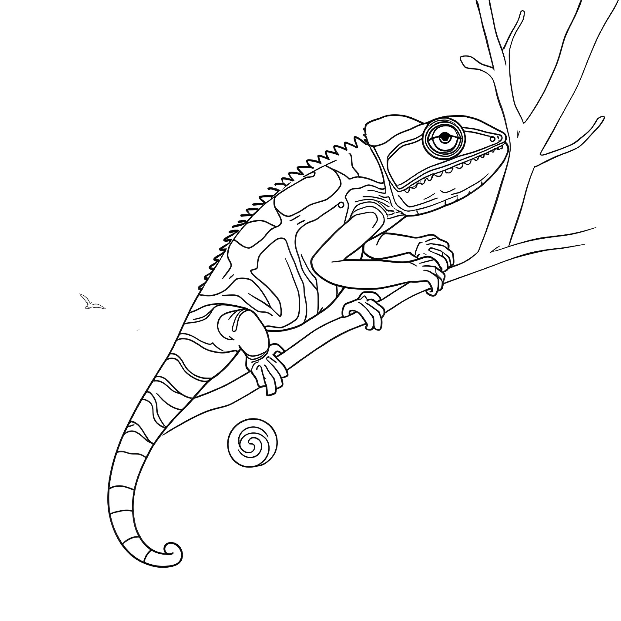Best Chameleon Coloring Pages (Free Printable PDF)