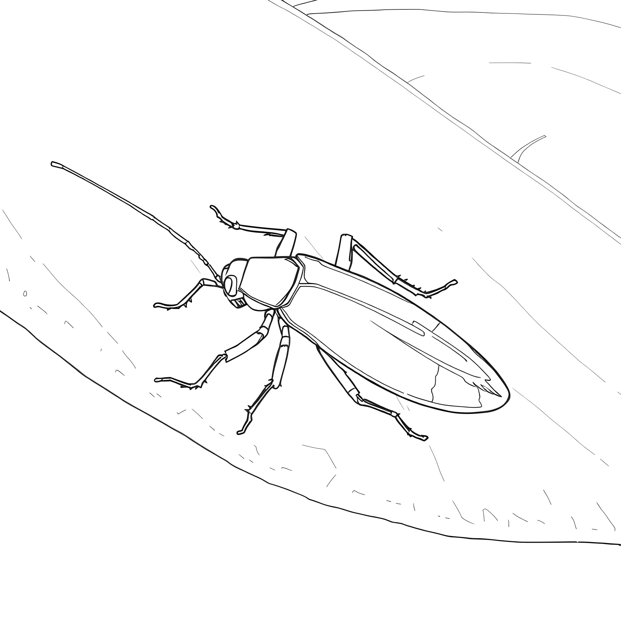 54 Best Cockroach Coloring Pages (Free Printable PDFs)