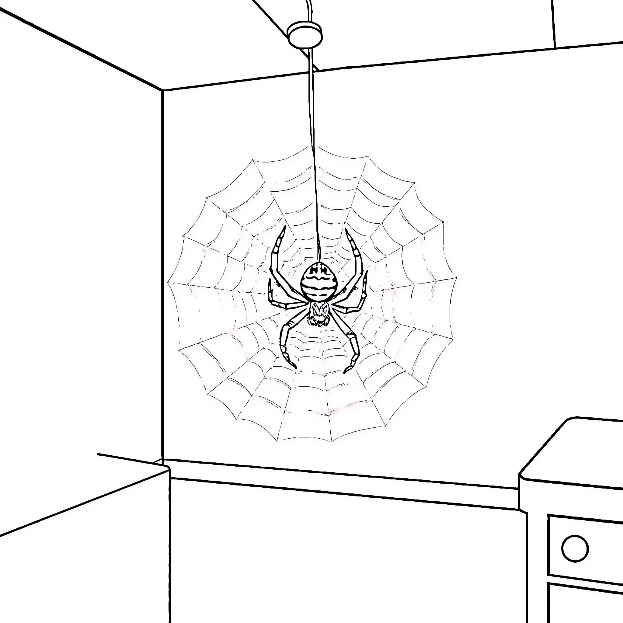 184 Best Spider Coloring Pages (Free Printable PDFs)