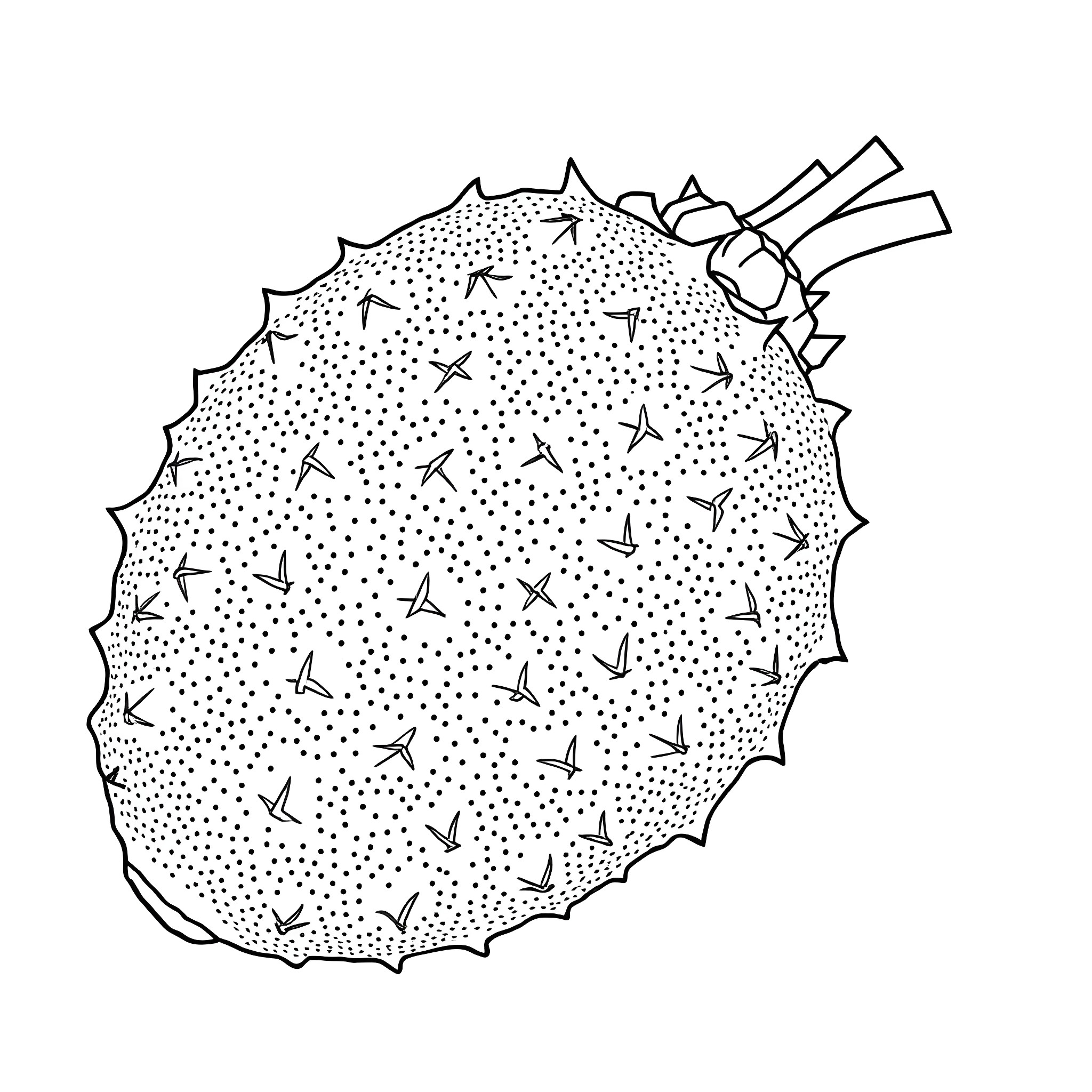 11 Best Jackfruit Coloring Pages (Free Printable PDFs)