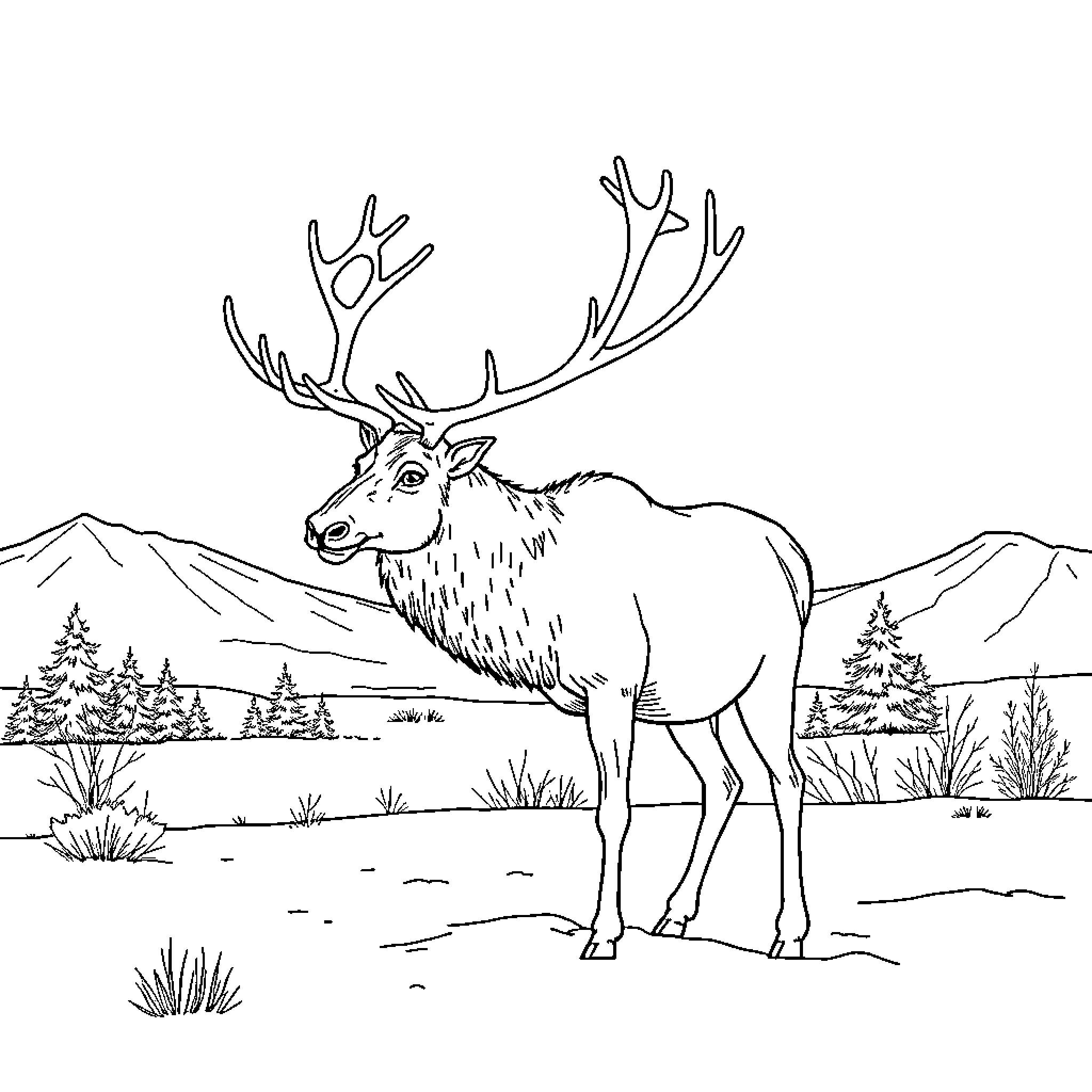 Best Caribou Coloring Pages (Free Printable PDF)