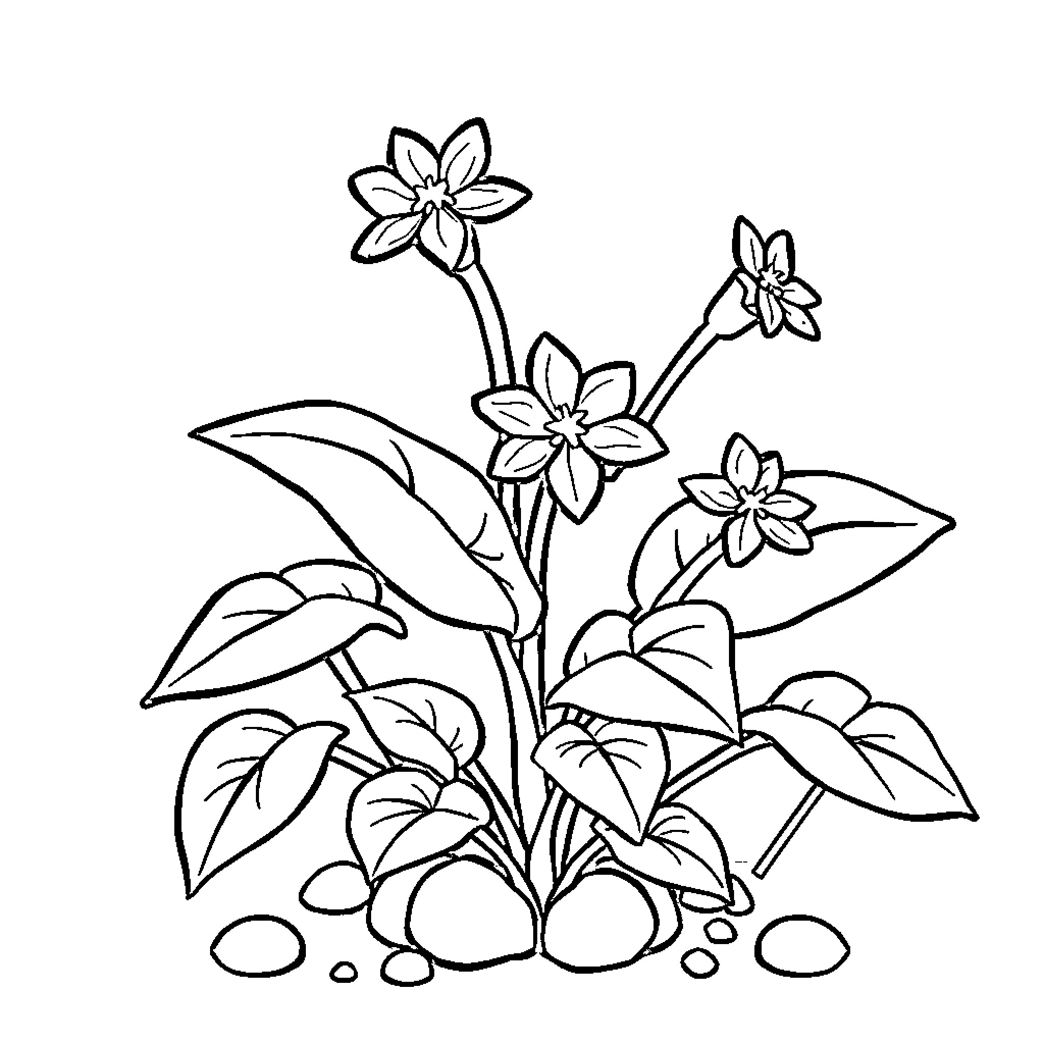 Best Plant Coloring Pages (Free Printable PDF)
