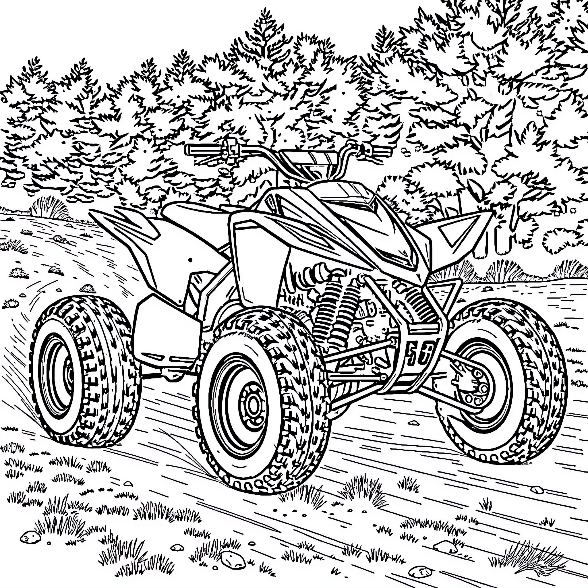 3 Best Quad Coloring Pages (Free Printable PDFs)