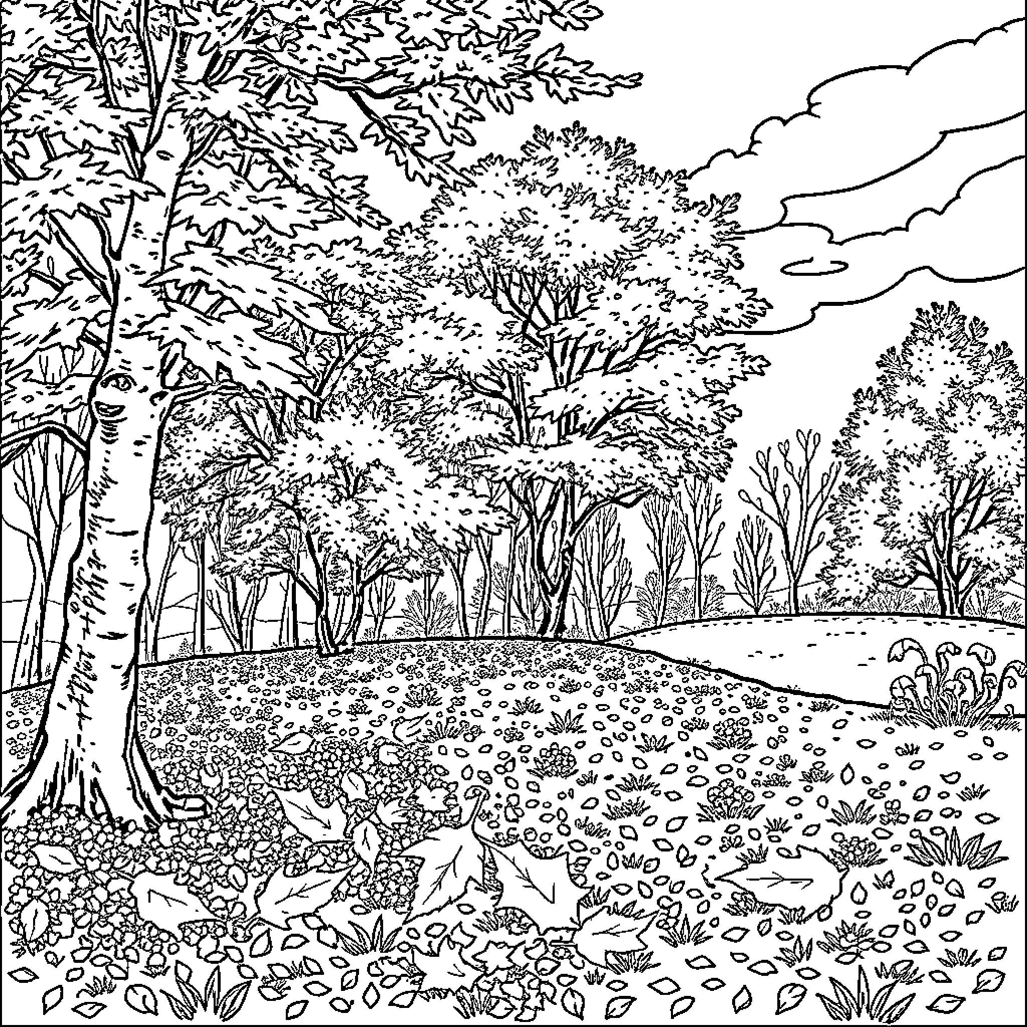 Best Fox and Cat Coloring Pages (Free Printable PDF)