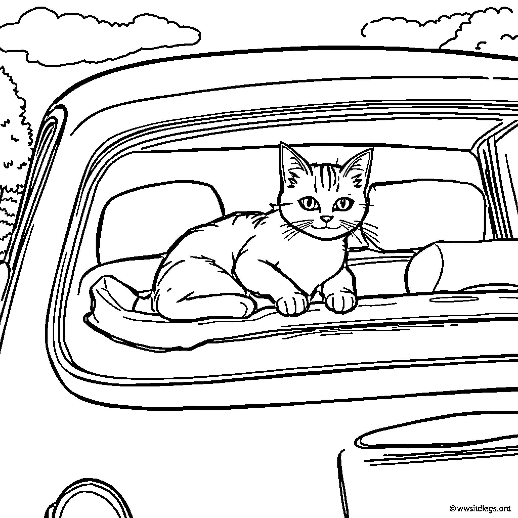 Best Cat and Car Coloring Pages (Free Printable PDF)