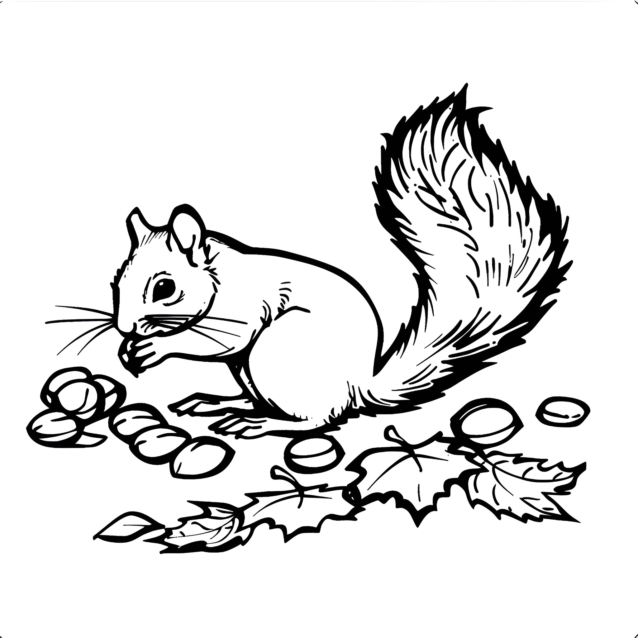 Best Fall Season Coloring Pages (Free Printable PDF)