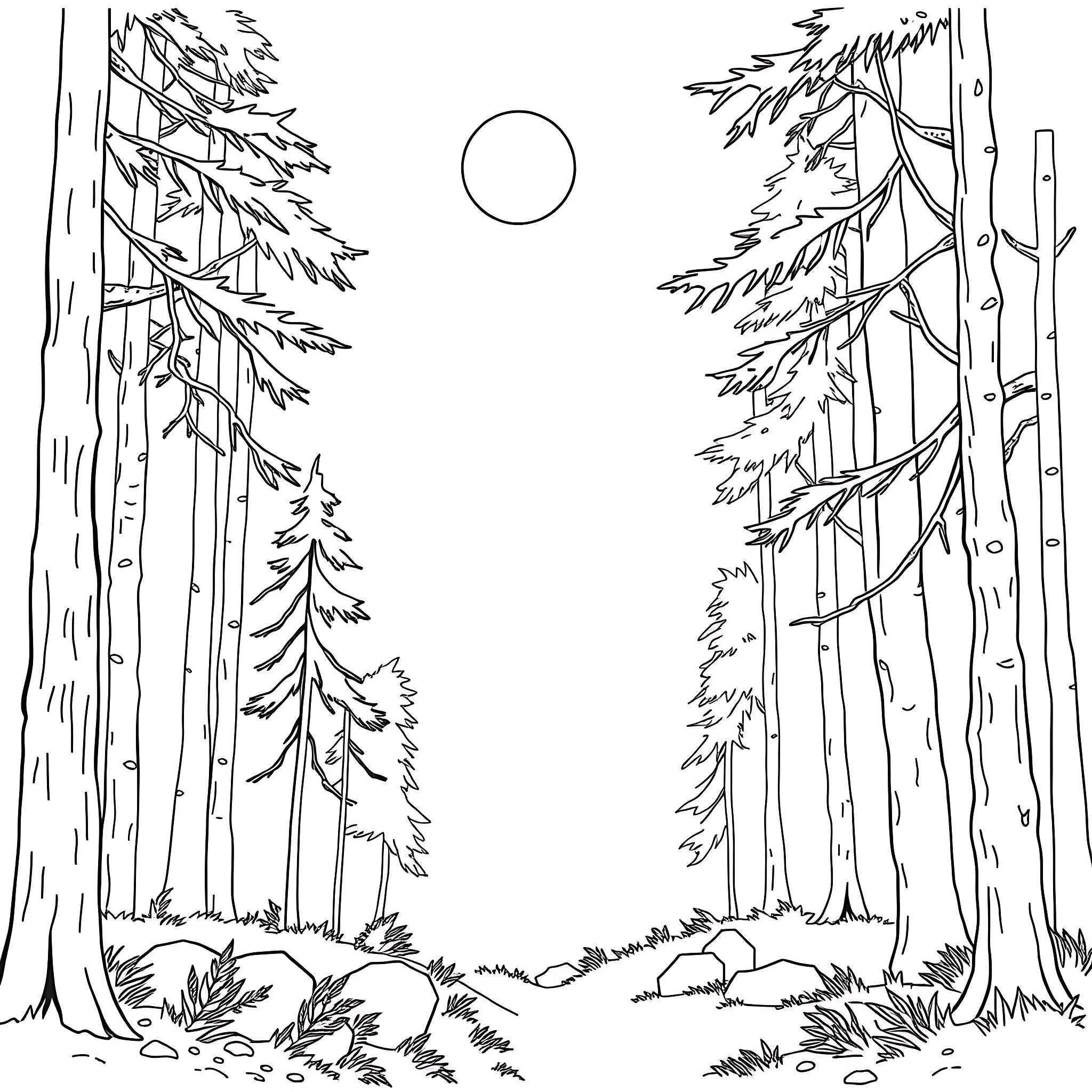 Best Forest Coloring Pages (Free Printable PDF)
