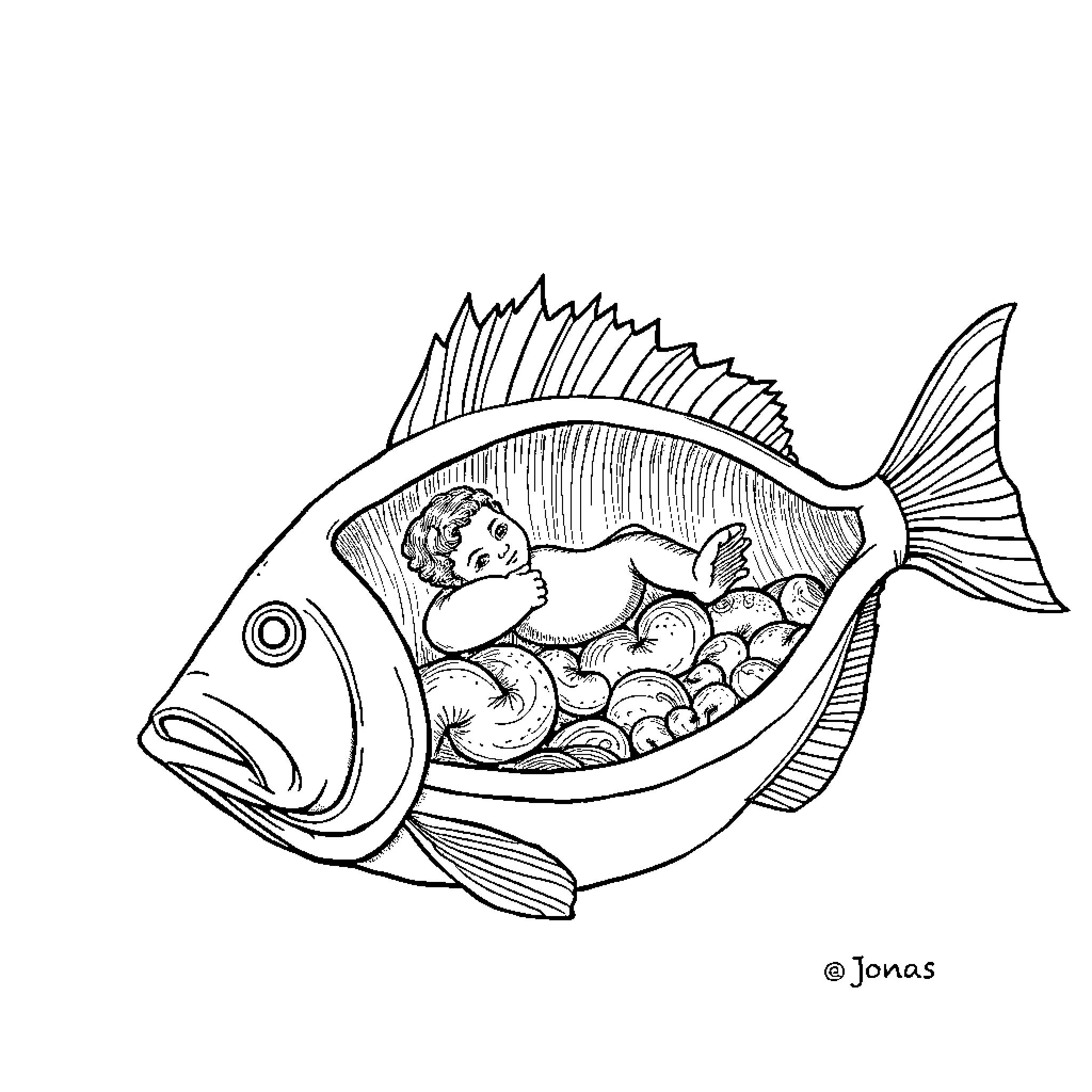 Best Nolan Ryan Coloring Pages (Free Printable PDF)
