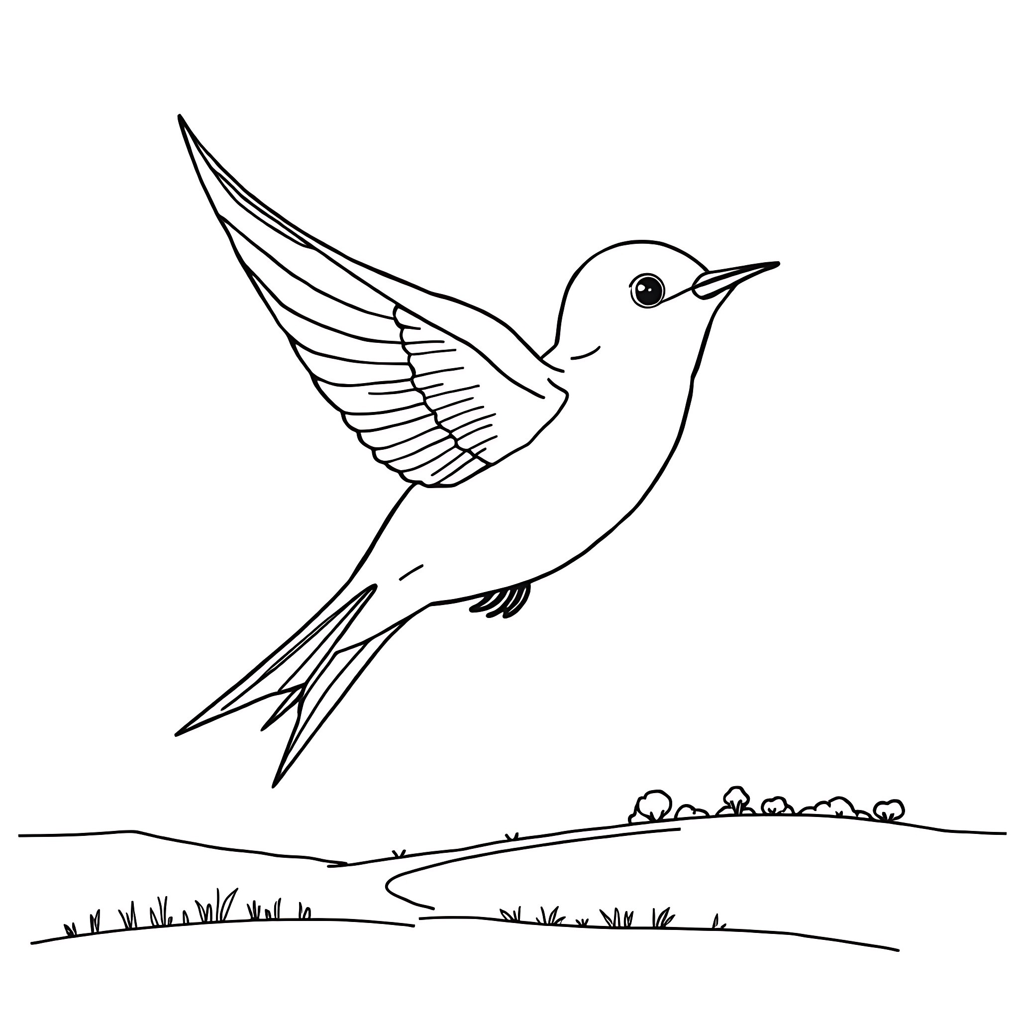 Best Swallow Coloring Pages (Free Printable PDF)