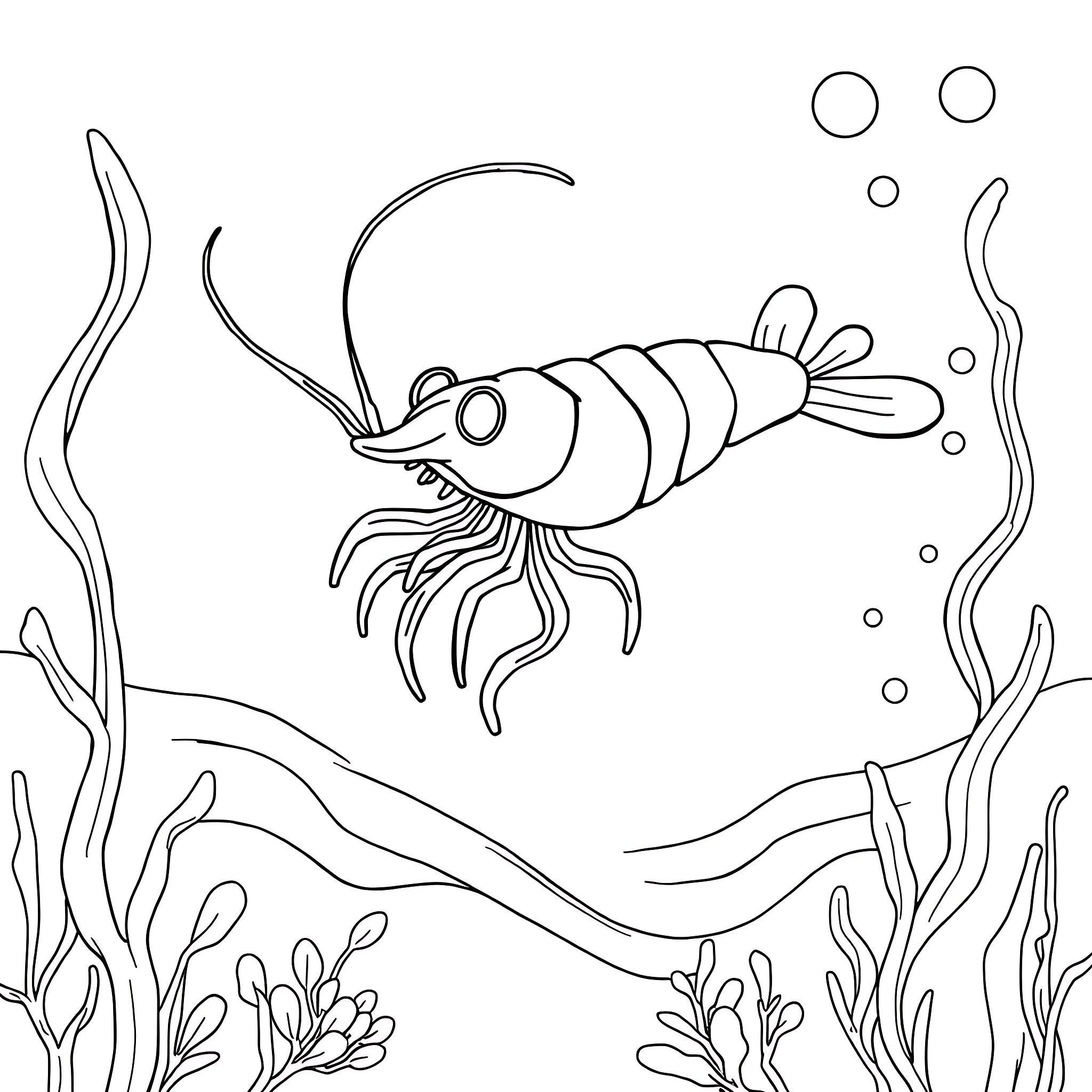 Best Shrimp Coloring Pages (Free Printable PDF)