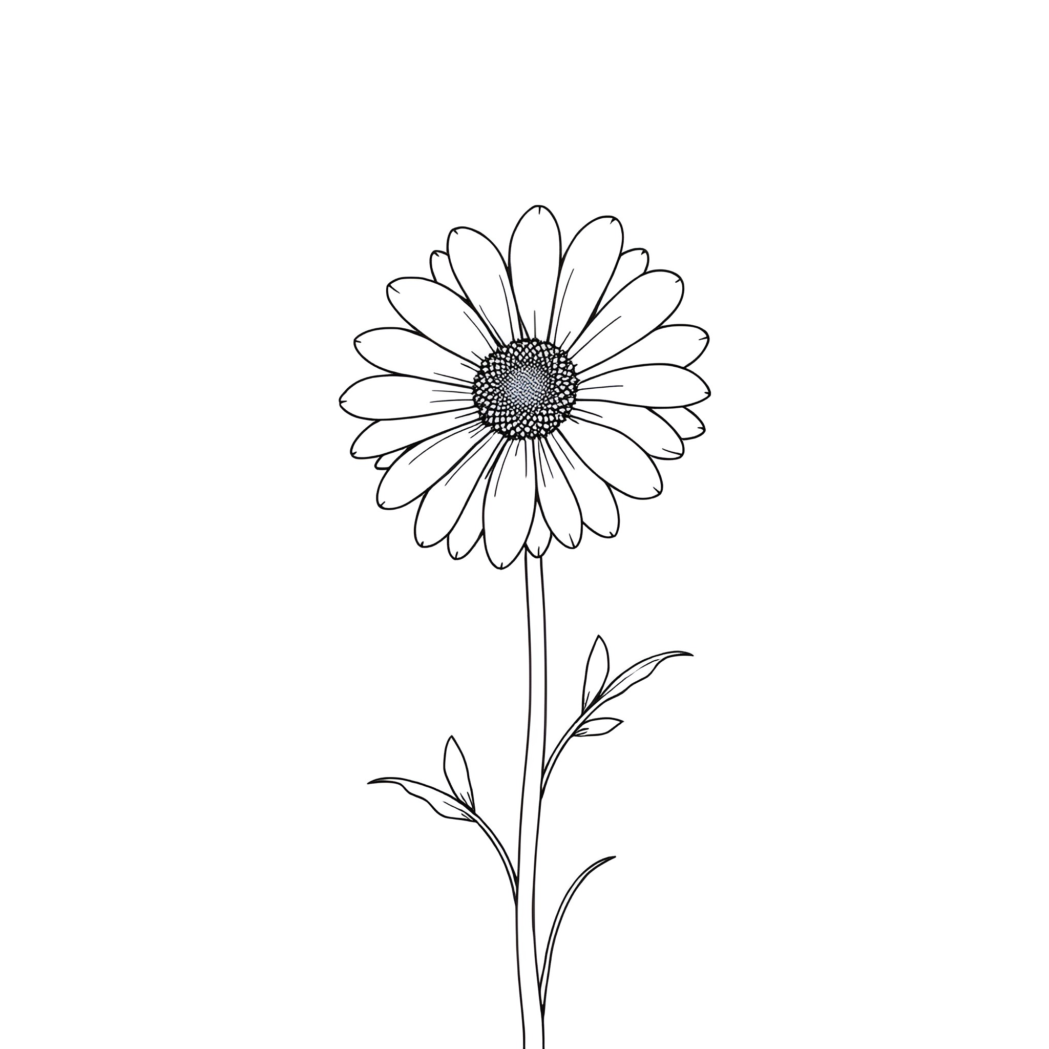 Best Daisy Coloring Pages (Free Printable PDF)
