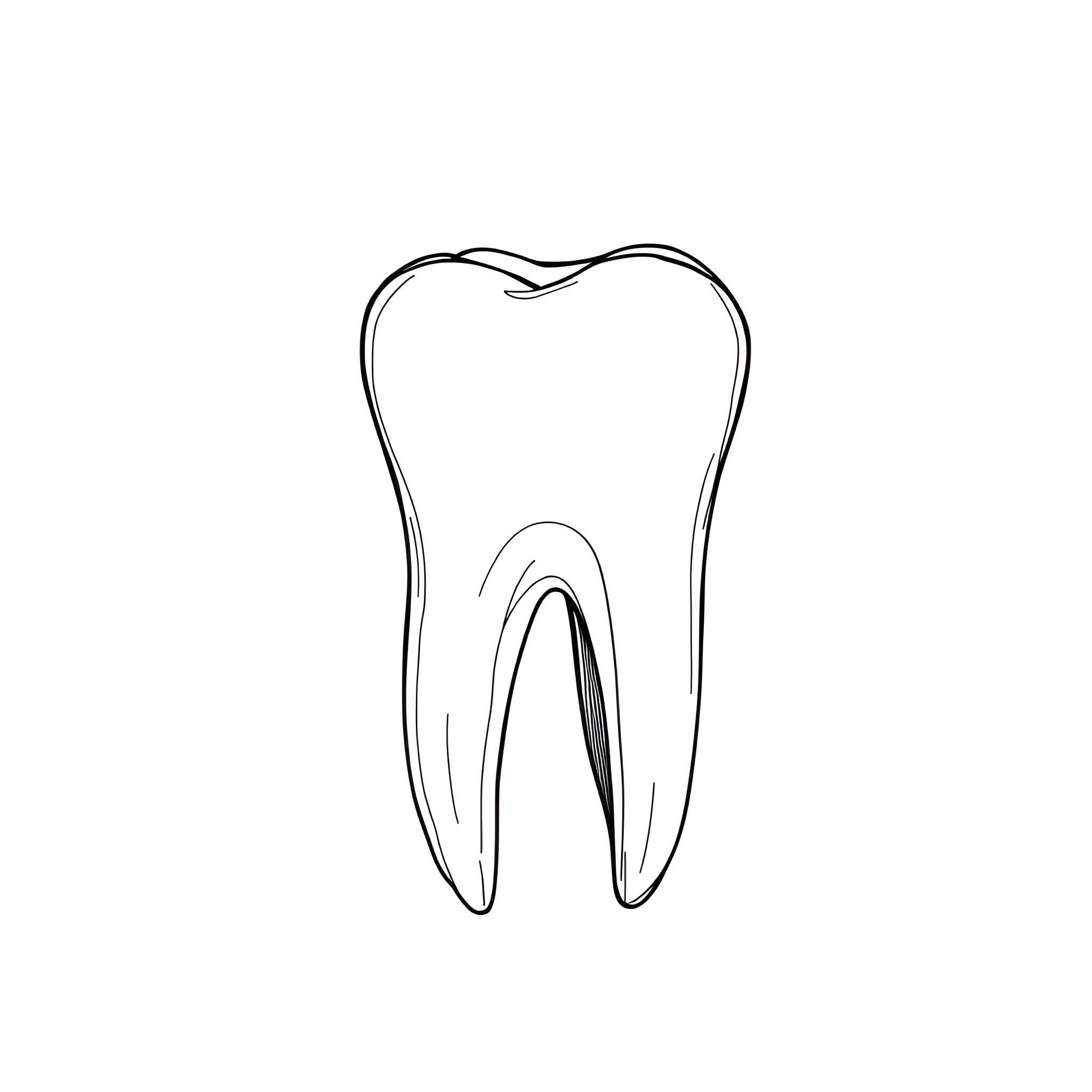 Best Tooth Coloring Pages (Free Printable PDF)