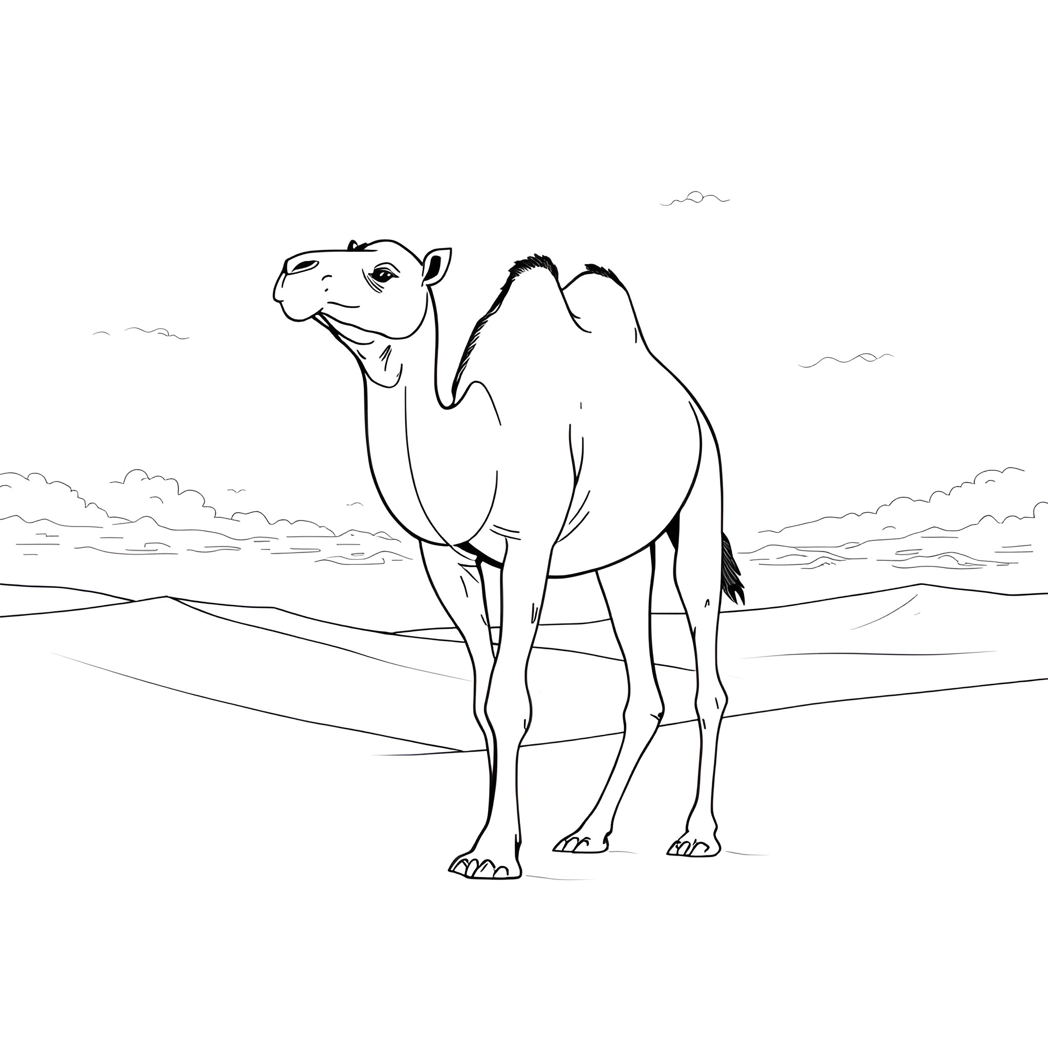 41 Best Camel Coloring Pages (Free Printable PDFs)