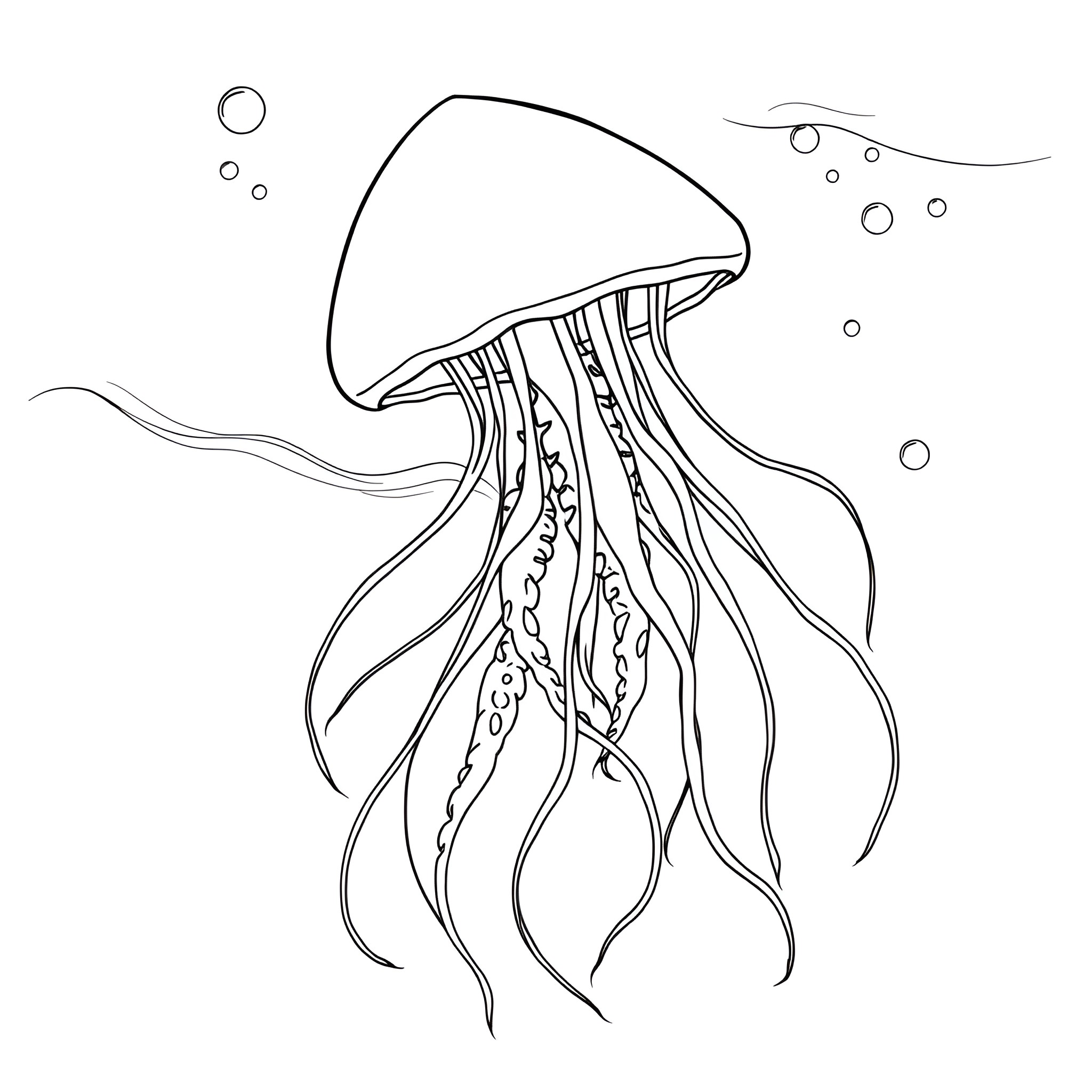 Best Jellyfish Coloring Pages (Free Printable PDF)