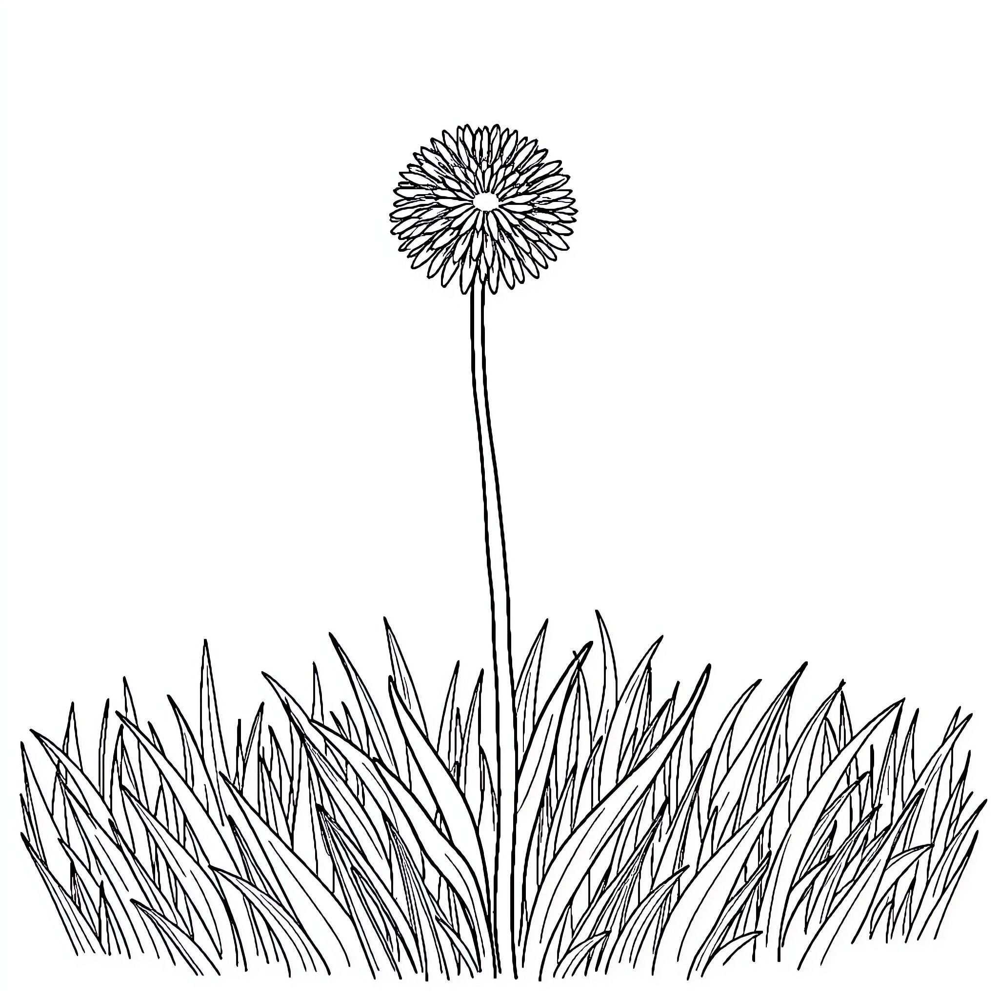 10 Best Muscle Man Coloring Pages (Free Printable PDFs)