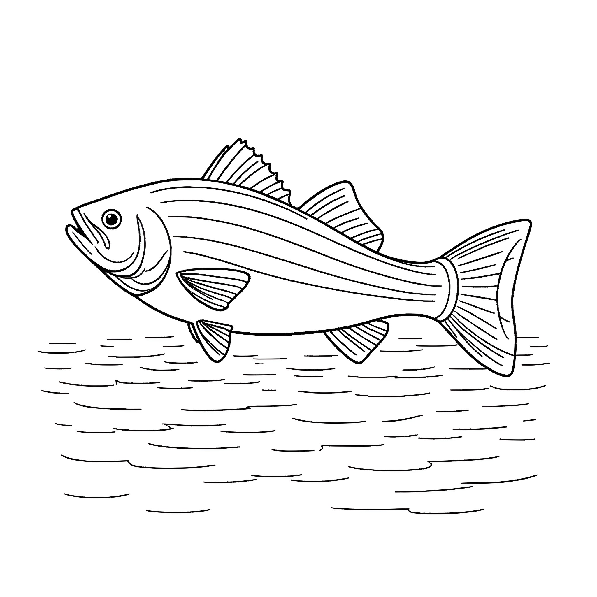 26 Best Bass Coloring Pages (Free Printable PDFs)