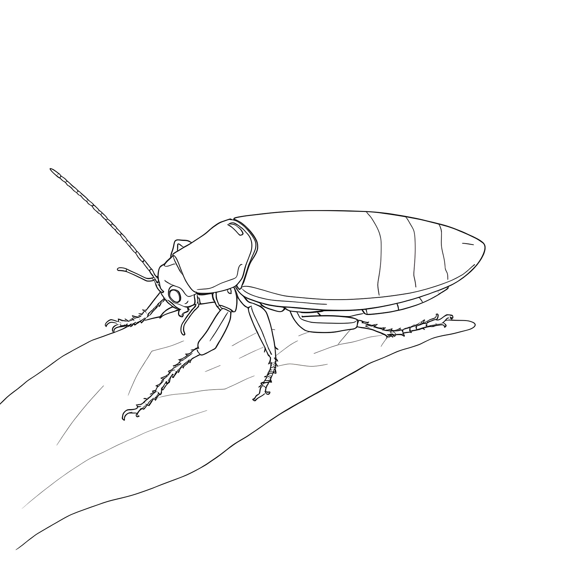 54 Best Cockroach Coloring Pages (Free Printable PDFs)