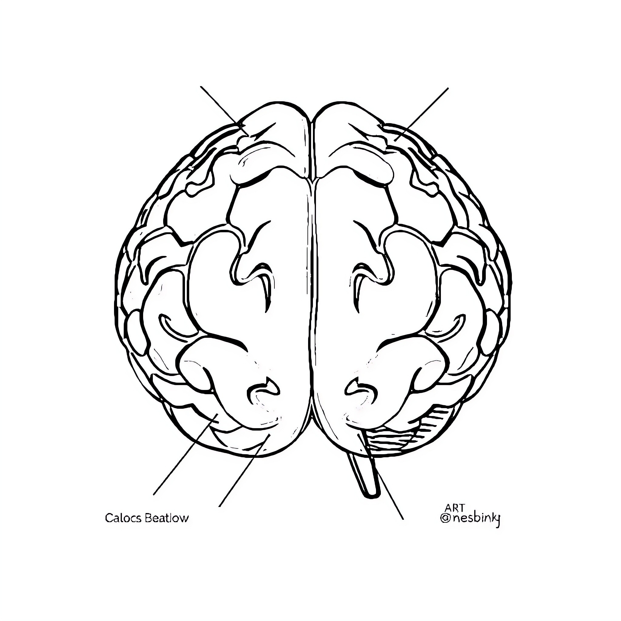 79 Best Brain Coloring Pages (Free Printable PDFs)