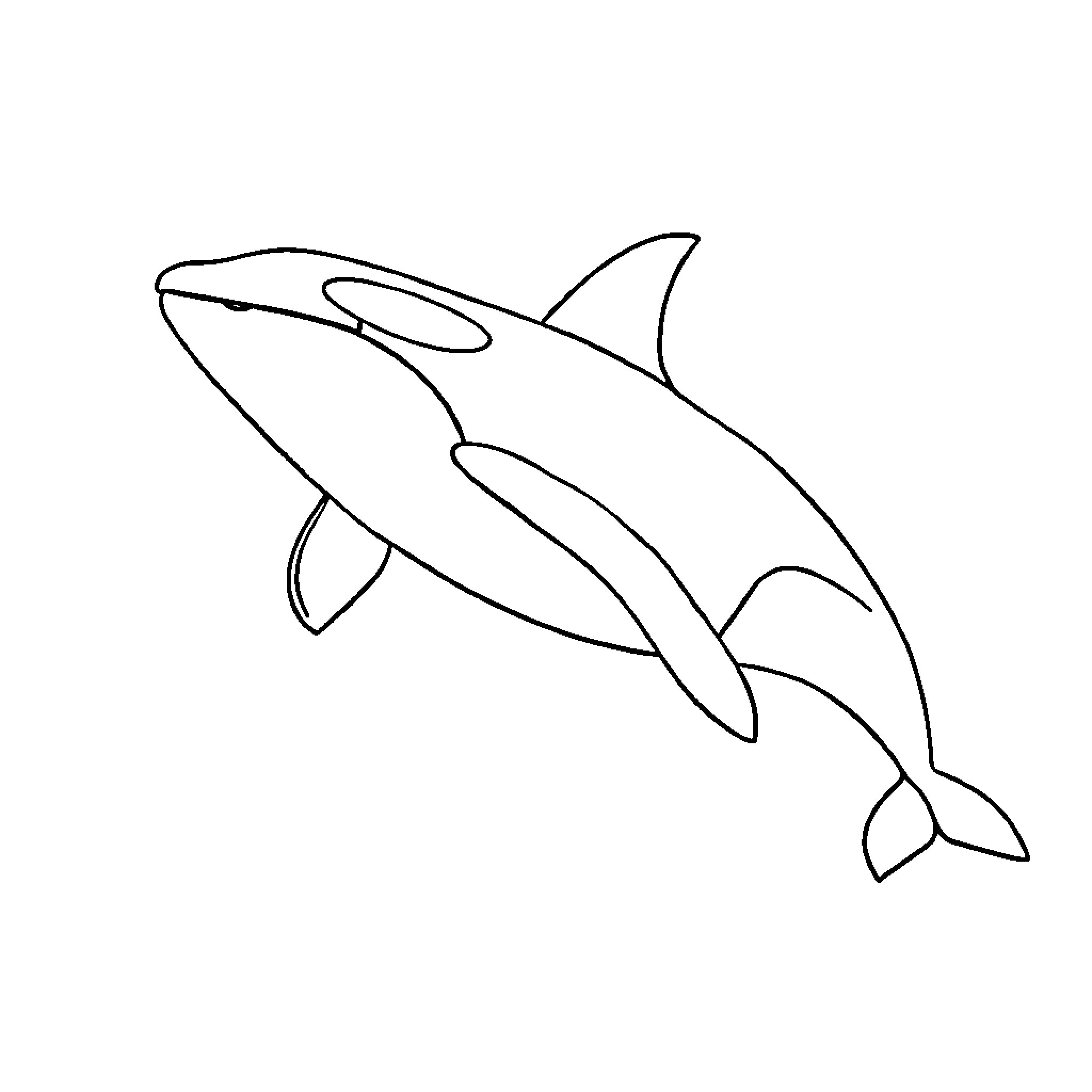 Best Orca Coloring Pages (Free Printable PDF)