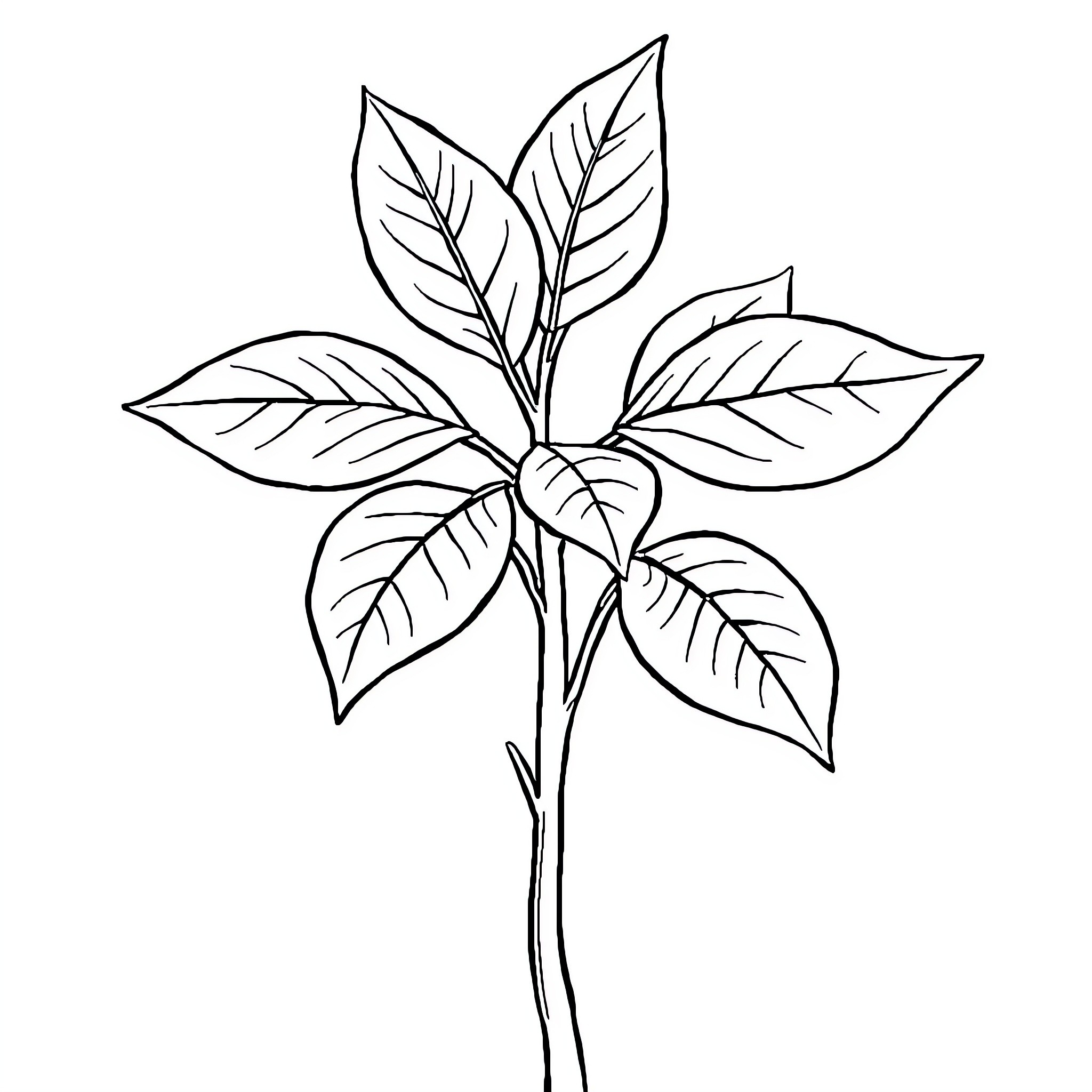83 Best Plant Coloring Pages (Free Printable PDFs)