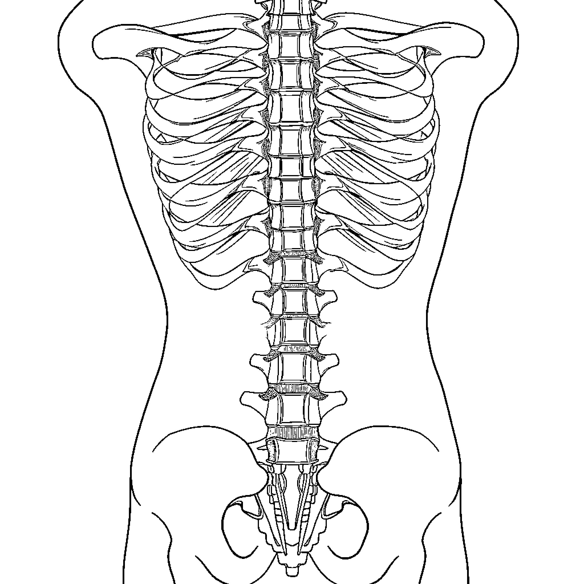 Best ASL Alphabet Coloring Pages (Free Printable PDF)