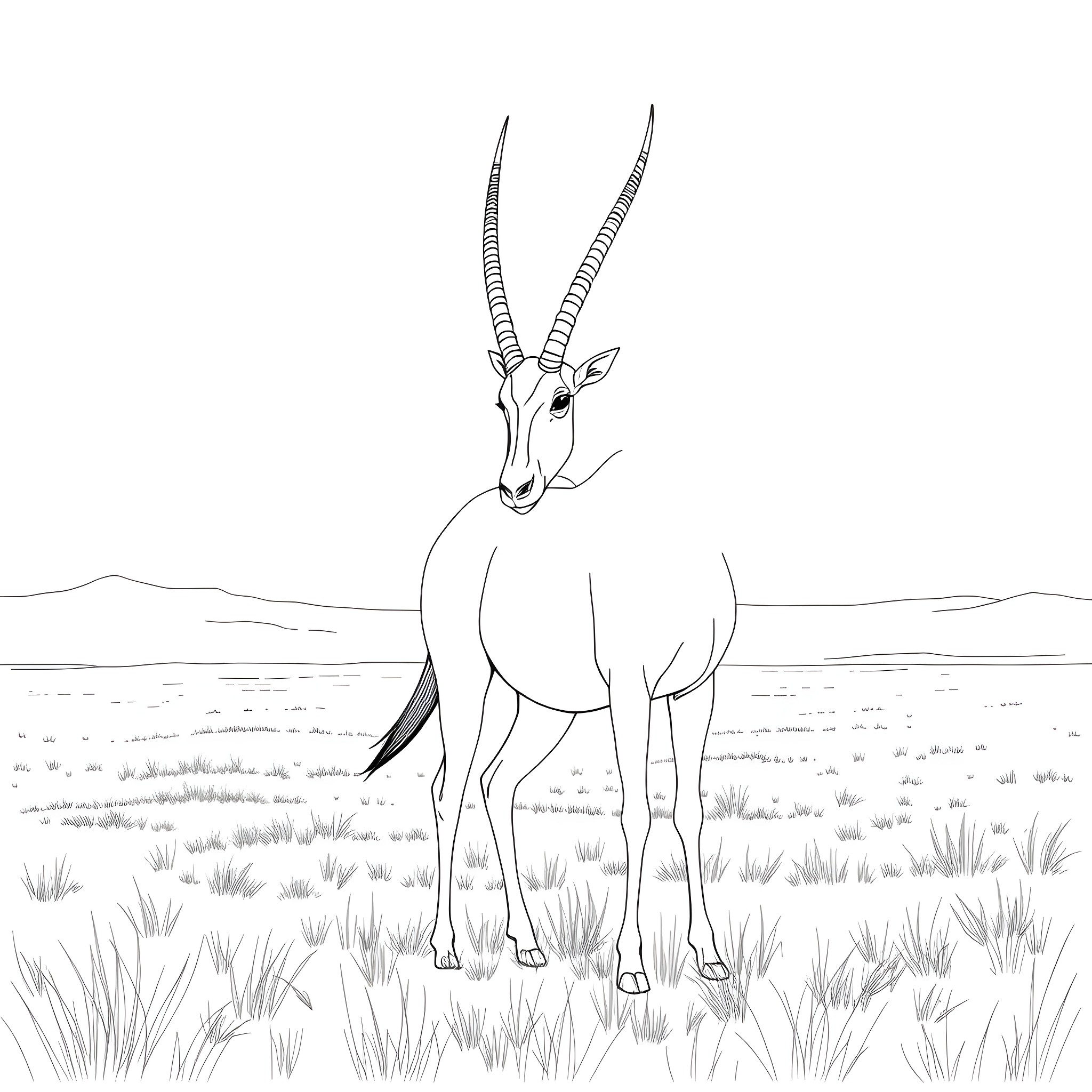 Best Oryx Coloring Pages (Free Printable PDF)