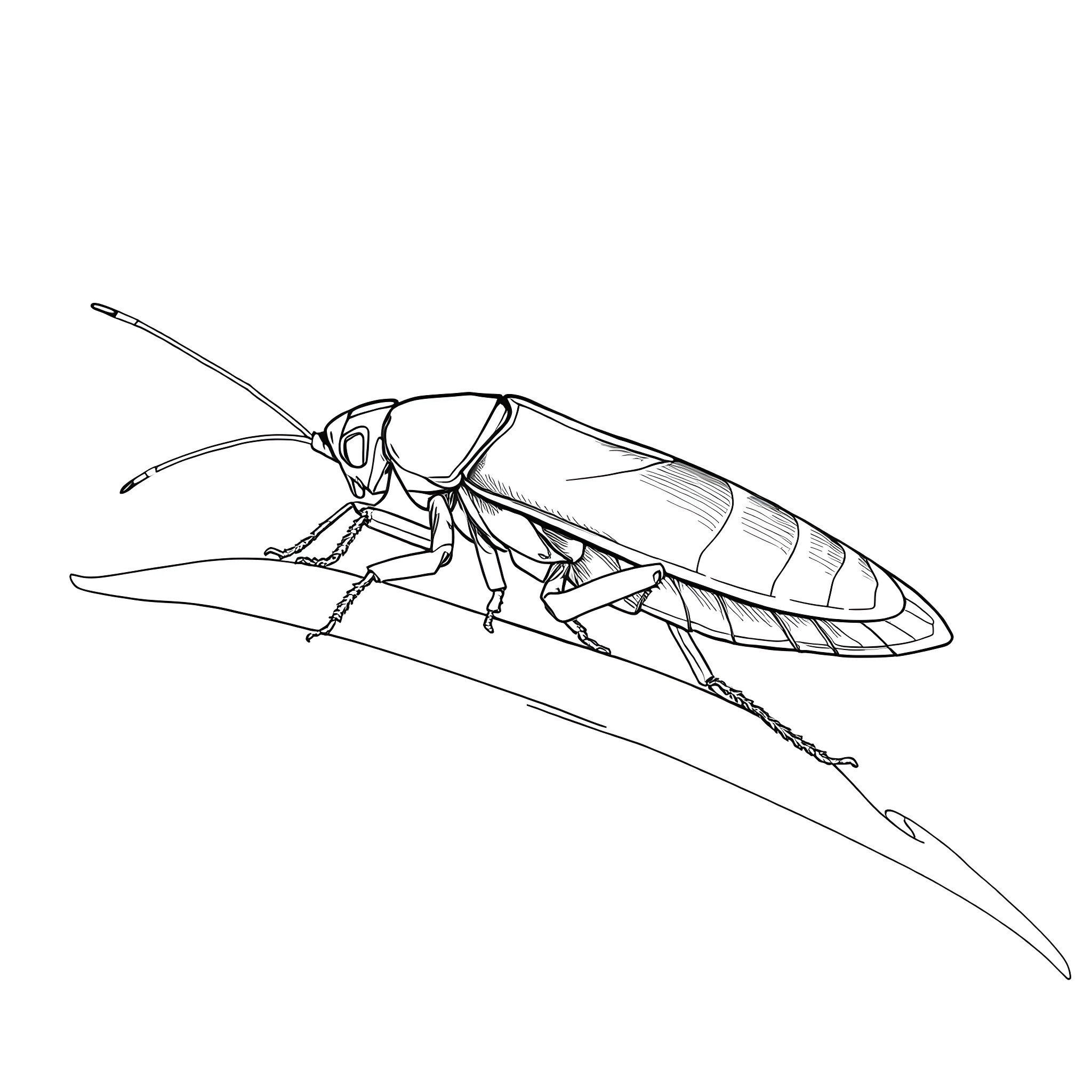 54 Best Cockroach Coloring Pages (Free Printable PDFs)
