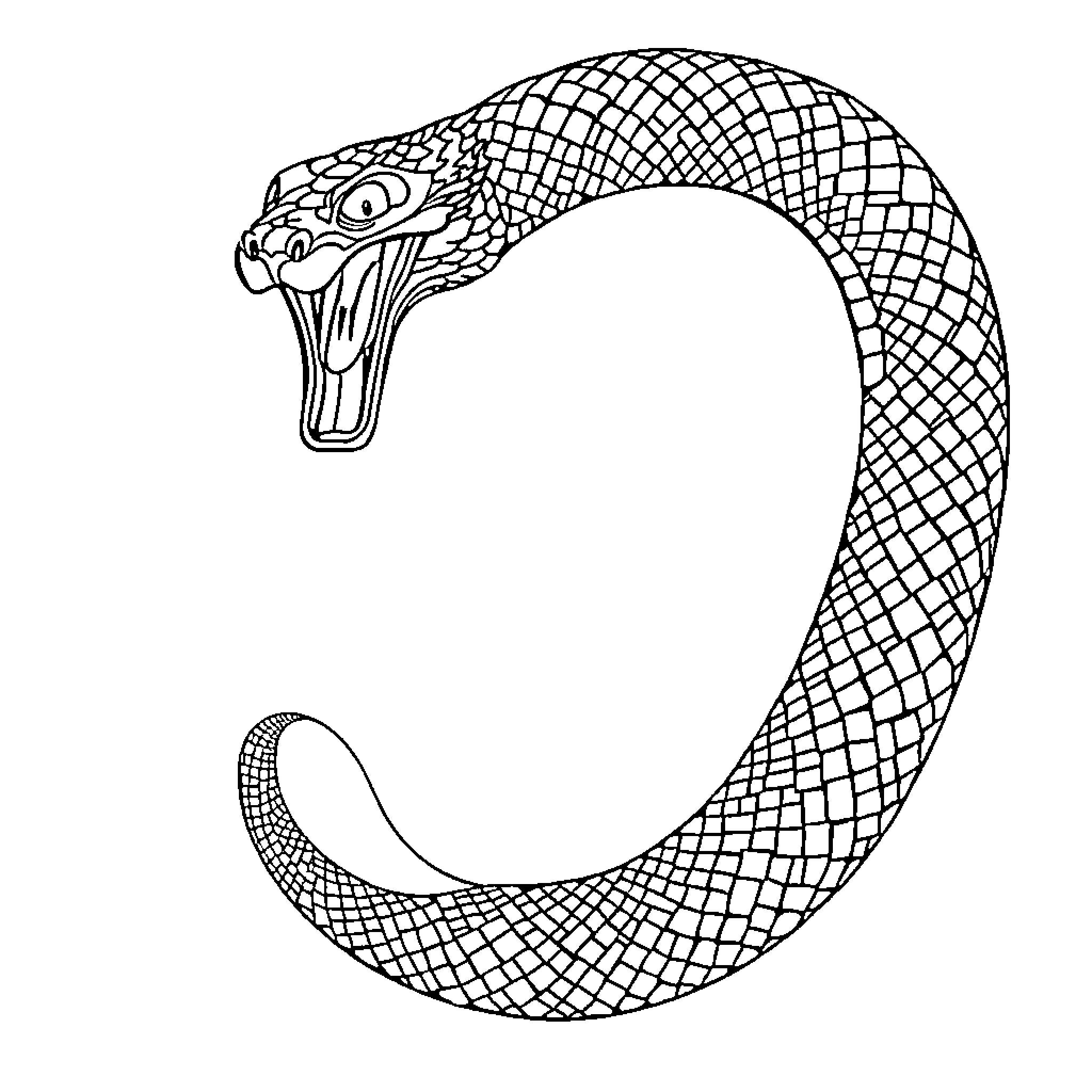 Best Naga Coloring Pages (Free Printable PDF)