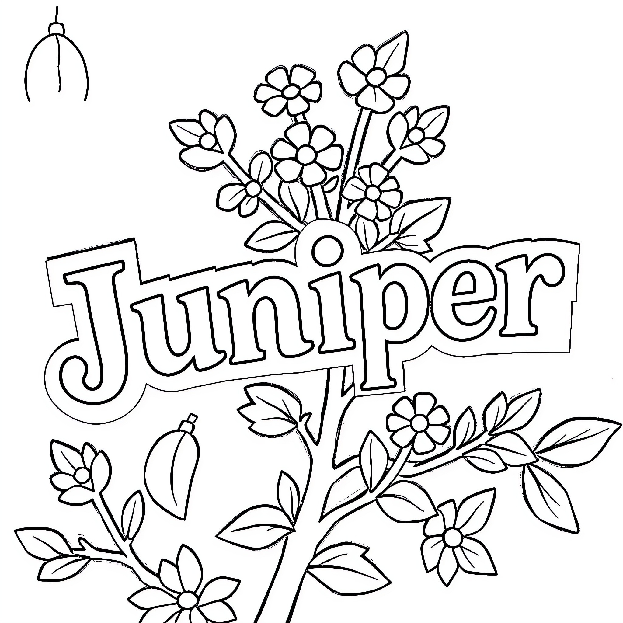 Best St Kilda Saints Coloring Pages (Free Printable PDF)