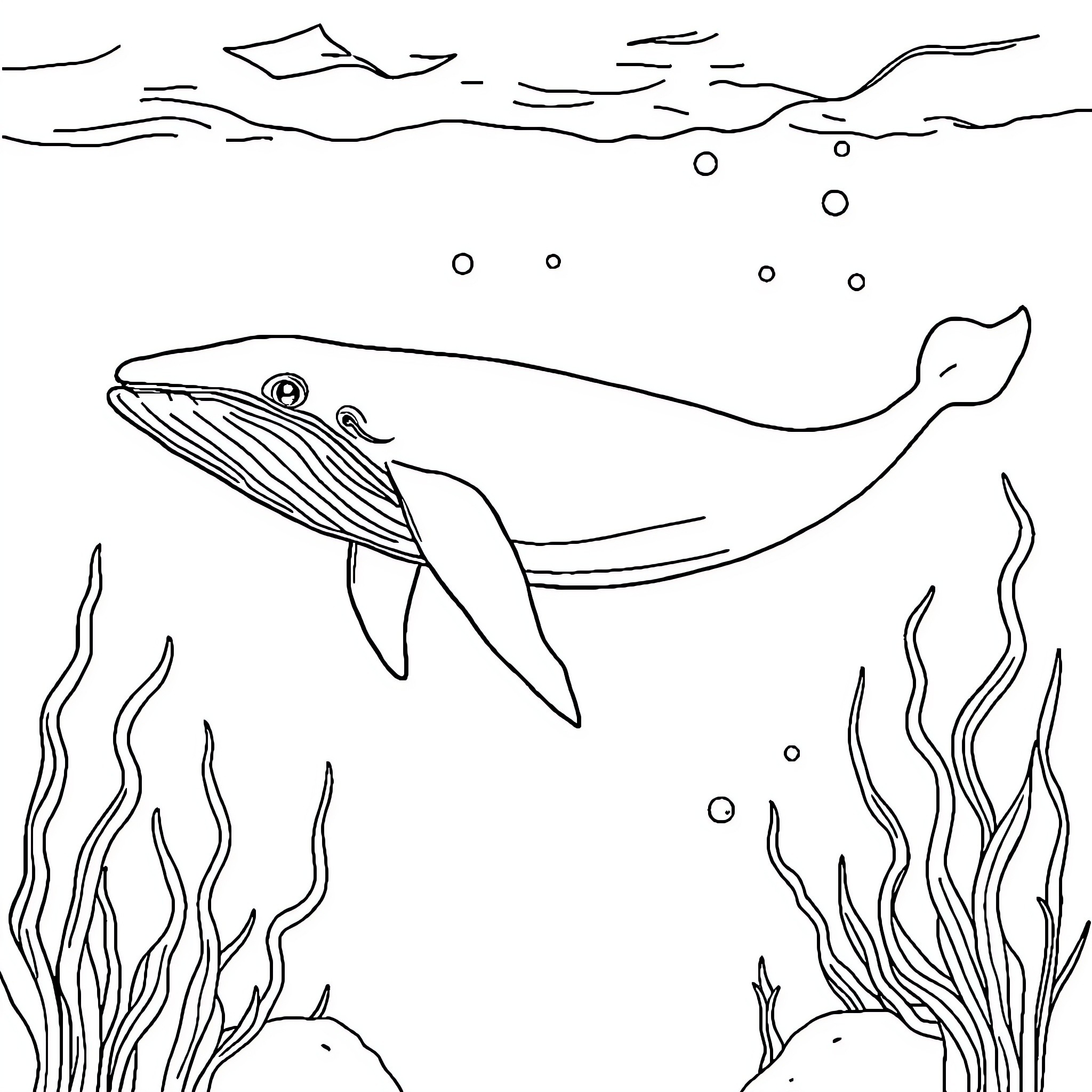 122 Best Whale Coloring Pages (Free Printable PDFs)