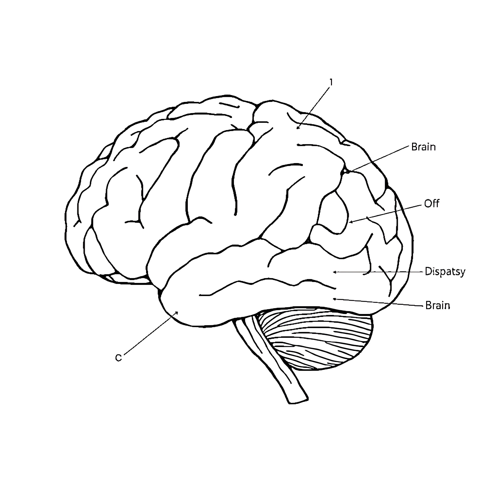 Best Brain Coloring Pages (Free Printable PDF)