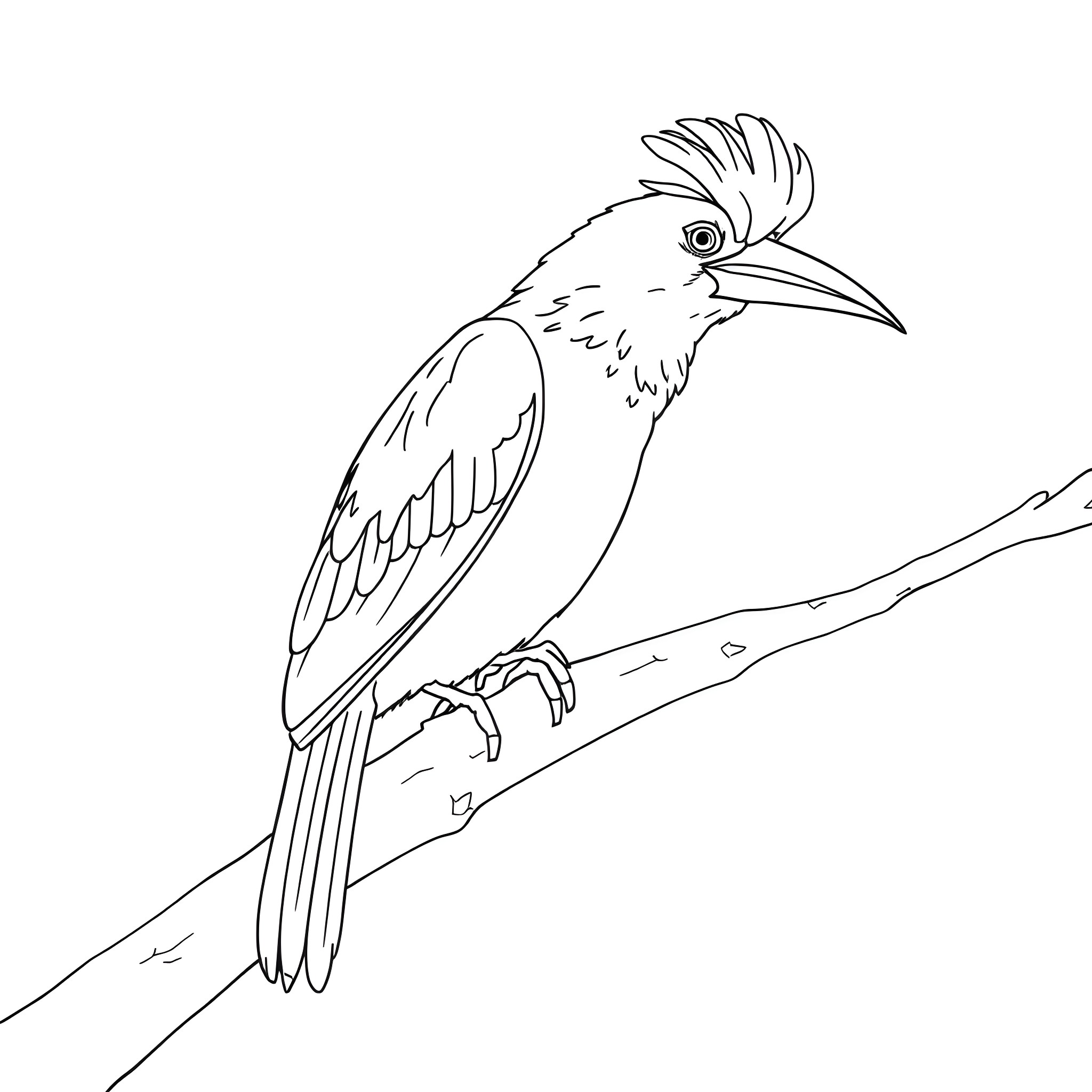 1 Best Flame Bowerbird Coloring Pages (Free Printable PDFs)
