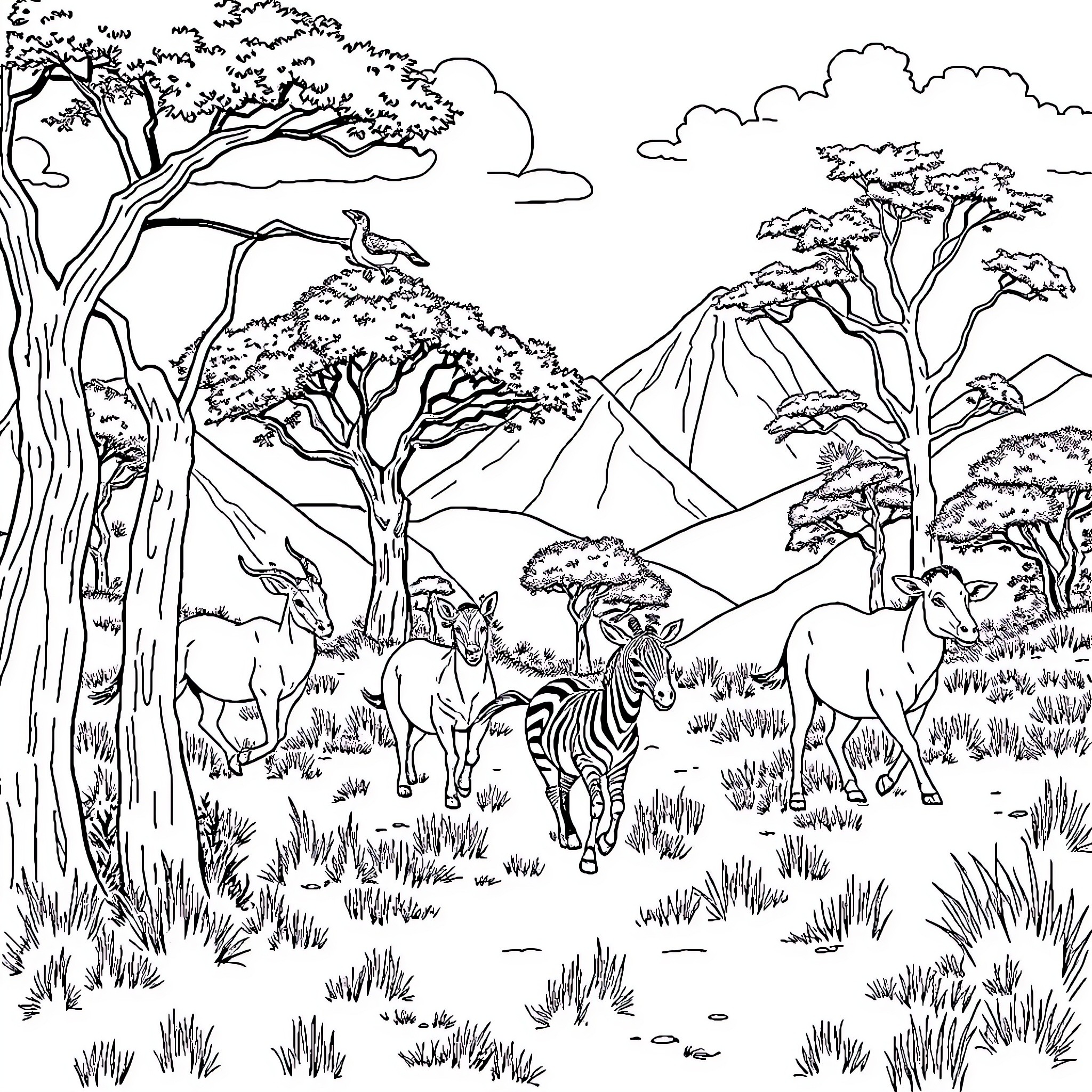 Best Brooke Monk Coloring Pages (Free Printable PDF)