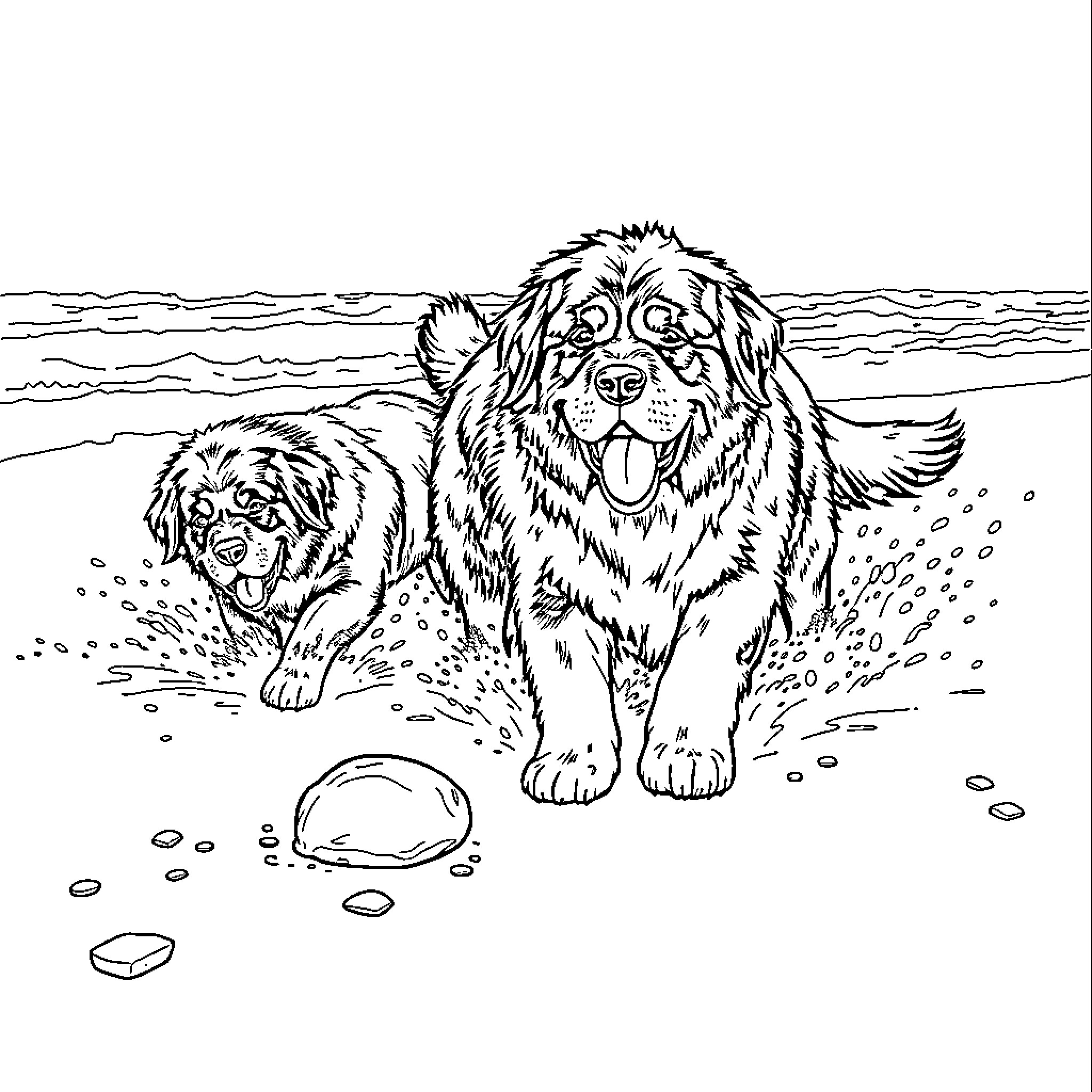 Best Newfoundland Coloring Pages (Free Printable PDF)