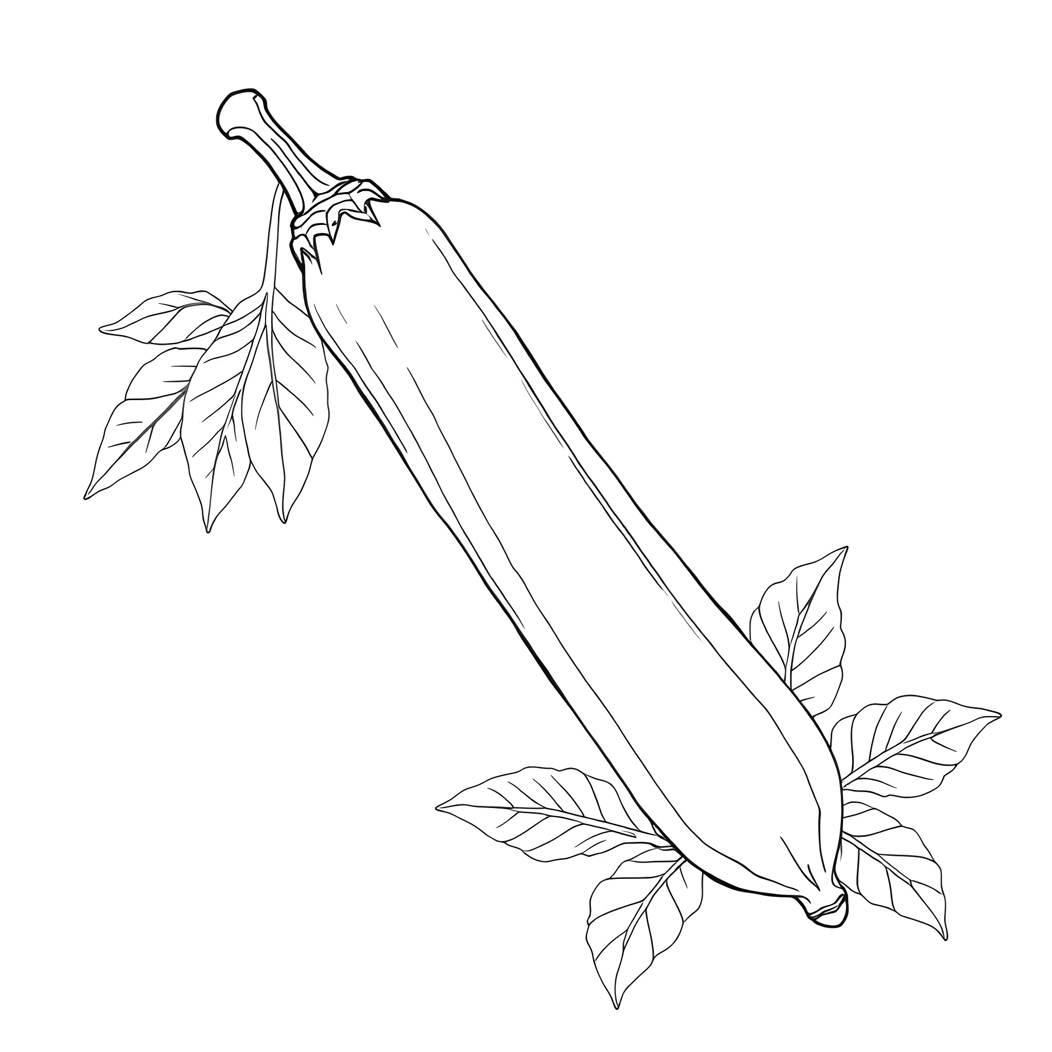 Best Gourd Coloring Pages (Free Printable PDF)