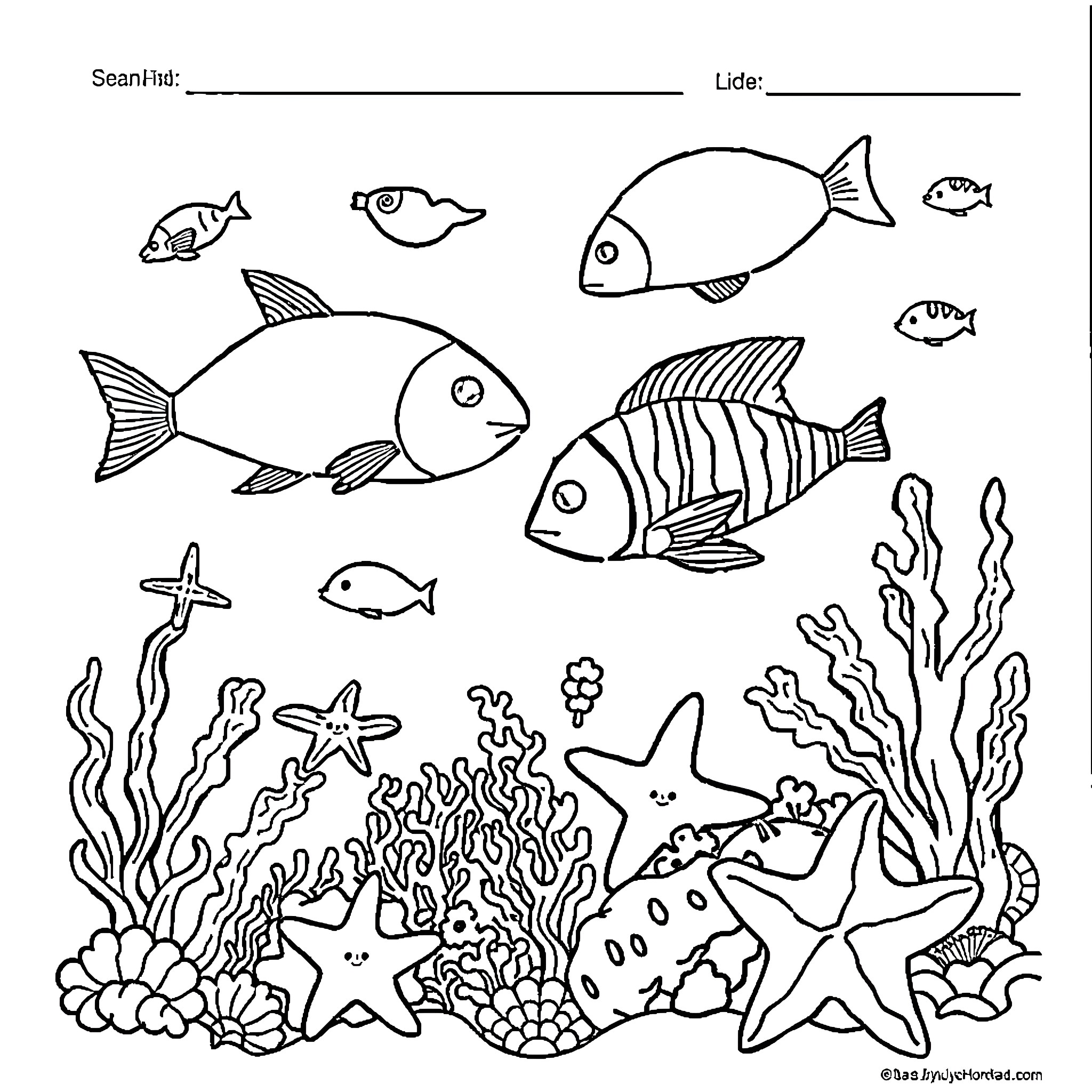 1 Best Game Changer Wrestling Coloring Pages (Free Printable PDFs)