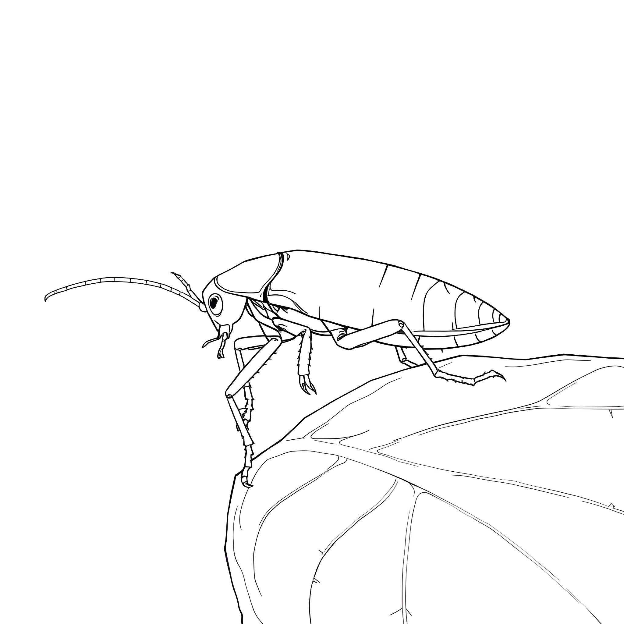 54 Best Cockroach Coloring Pages (Free Printable PDFs)