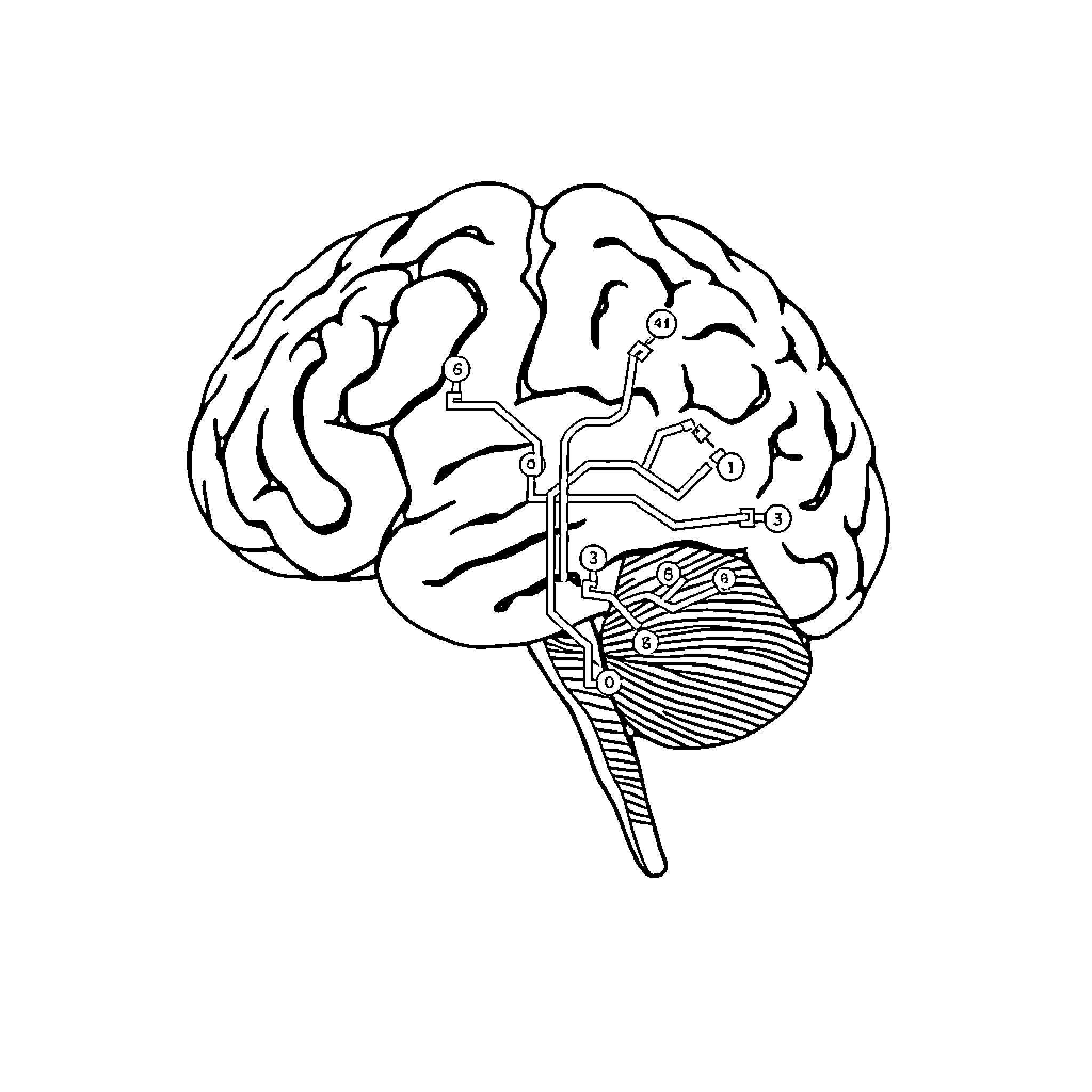Best Brain Coloring Pages (Free Printable PDF)