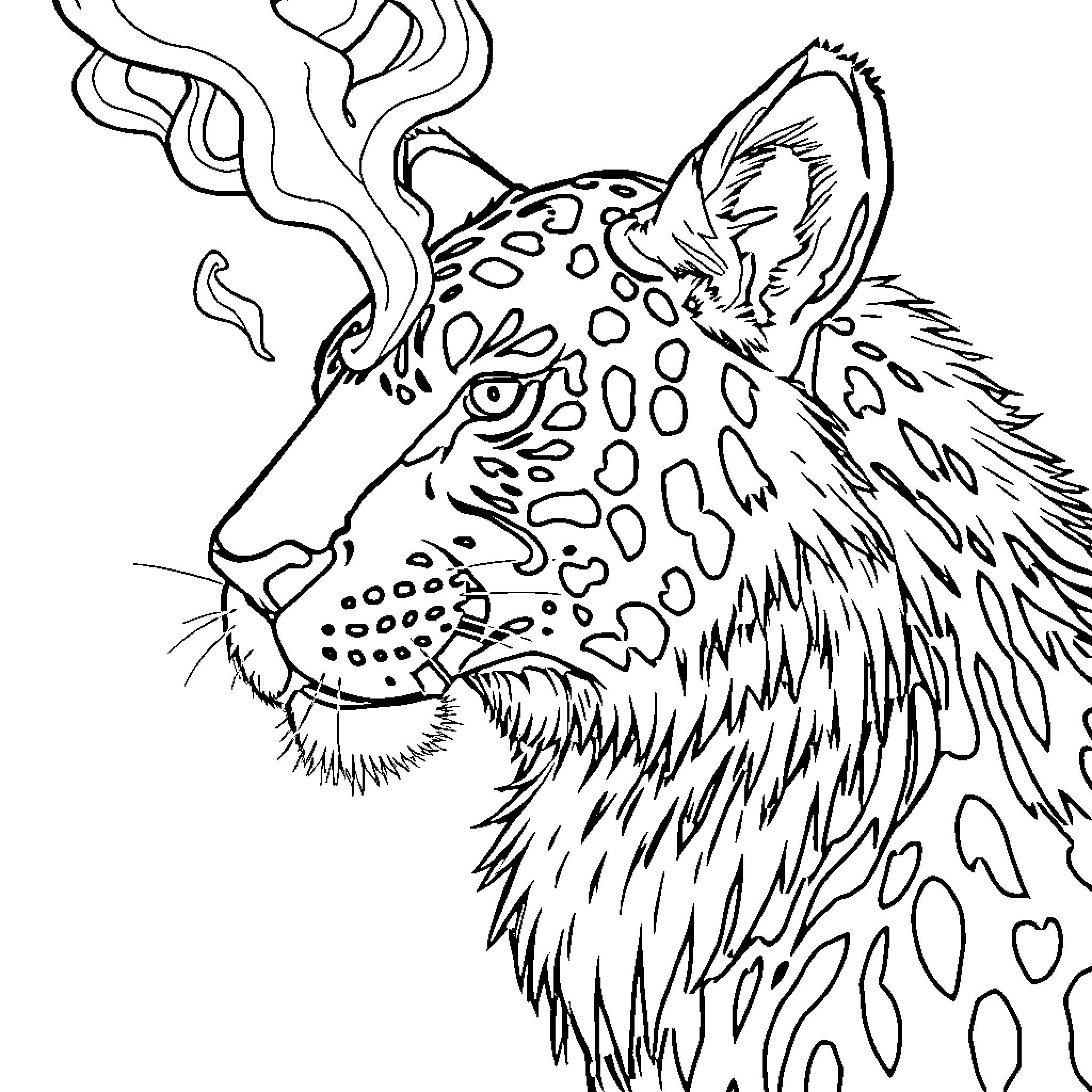 Best Jabalí Coloring Pages (Free Printable PDF)