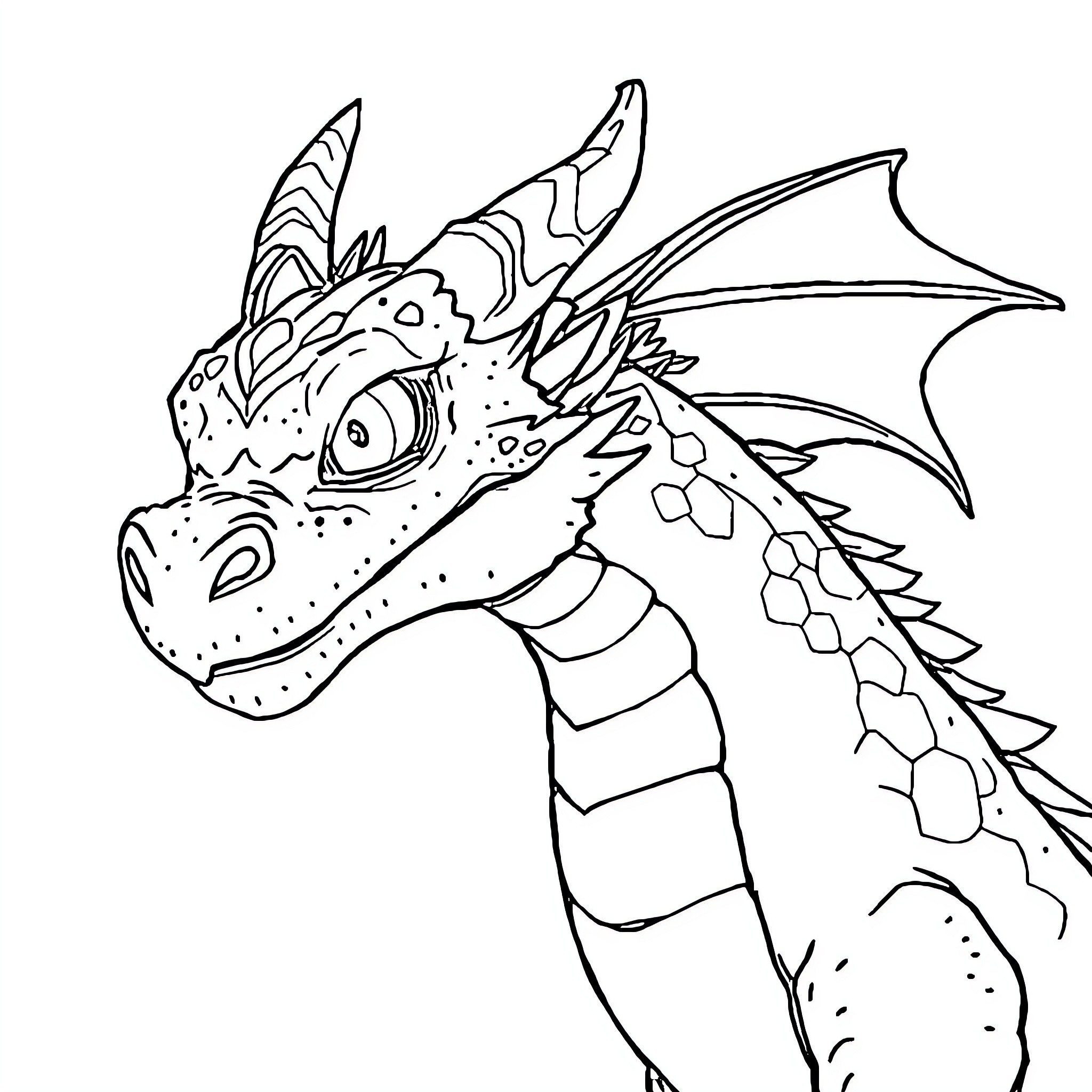 Best Feetsole Coloring Pages (Free Printable PDF)