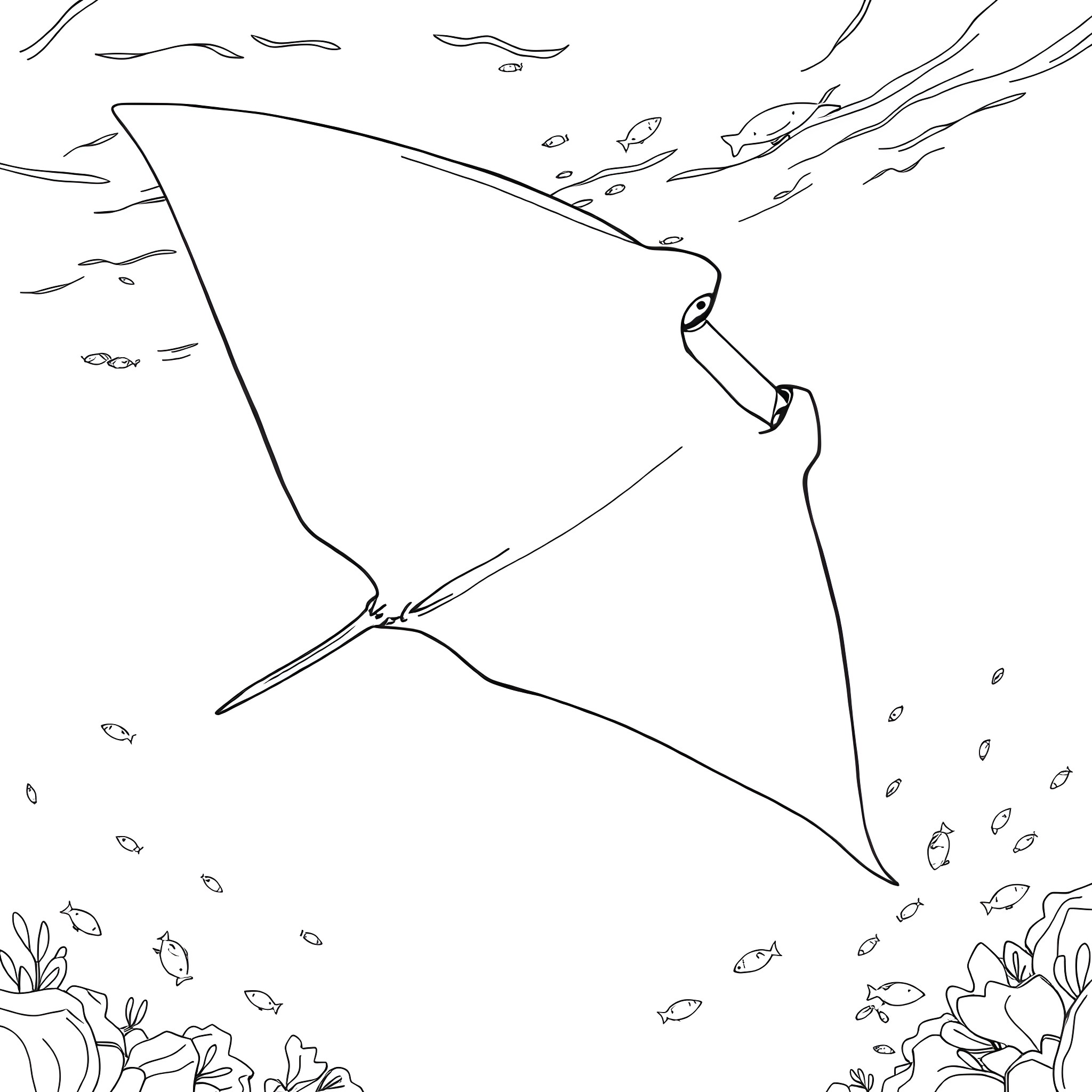 Best Manta Ray Coloring Pages (Free Printable PDF)