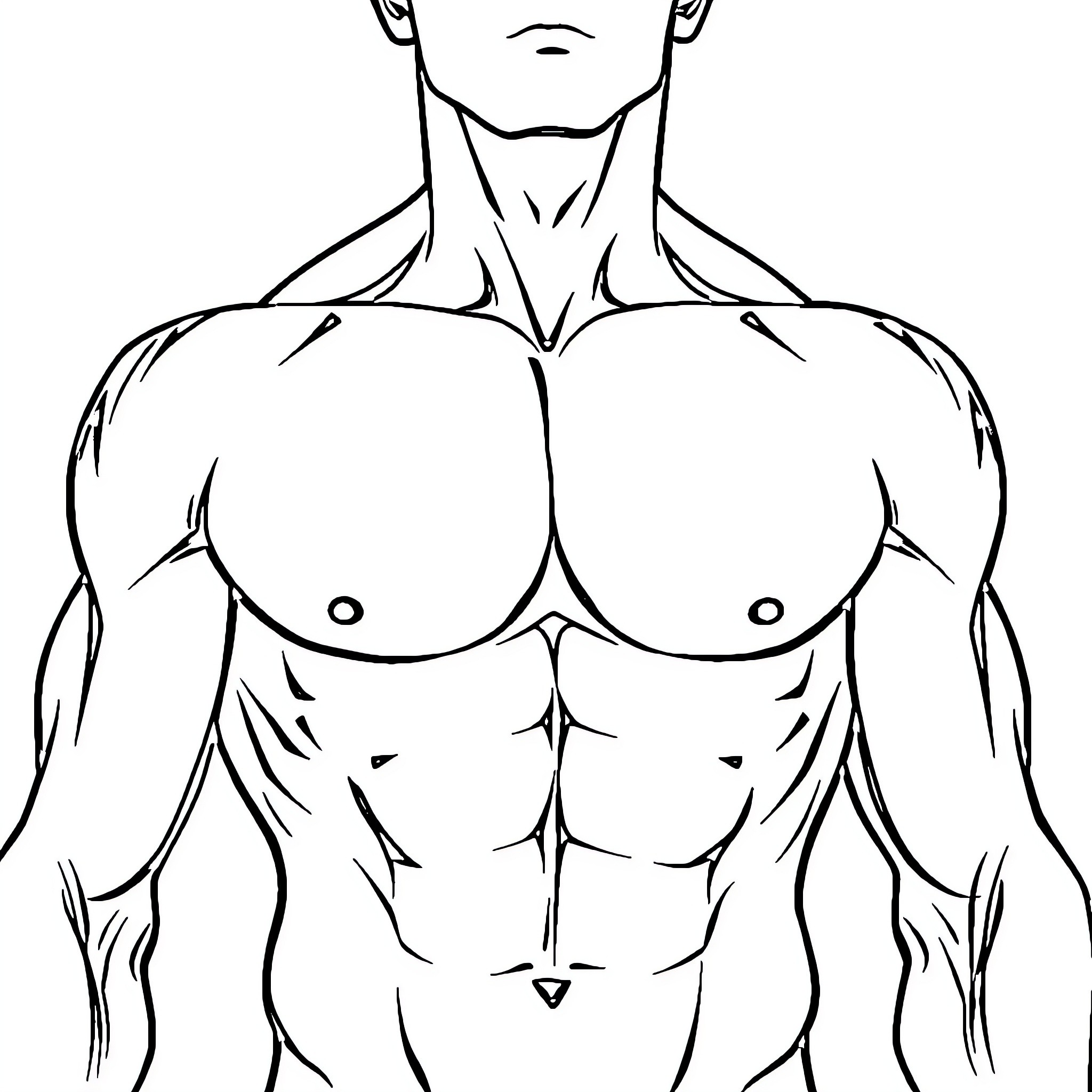 Best Male Torso Coloring Pages (Free Printable PDF)