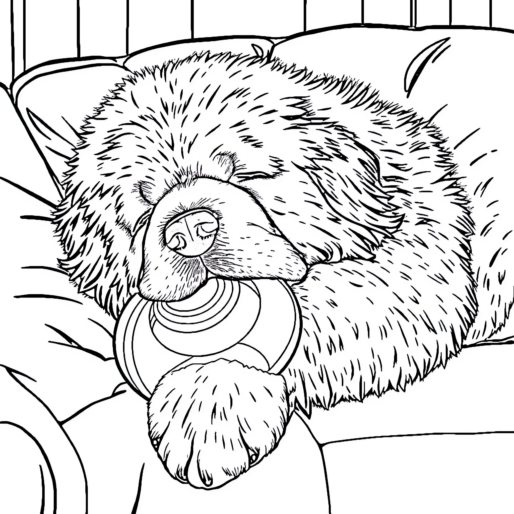 Best Newfoundland Dog Coloring Pages (Free Printable PDF)