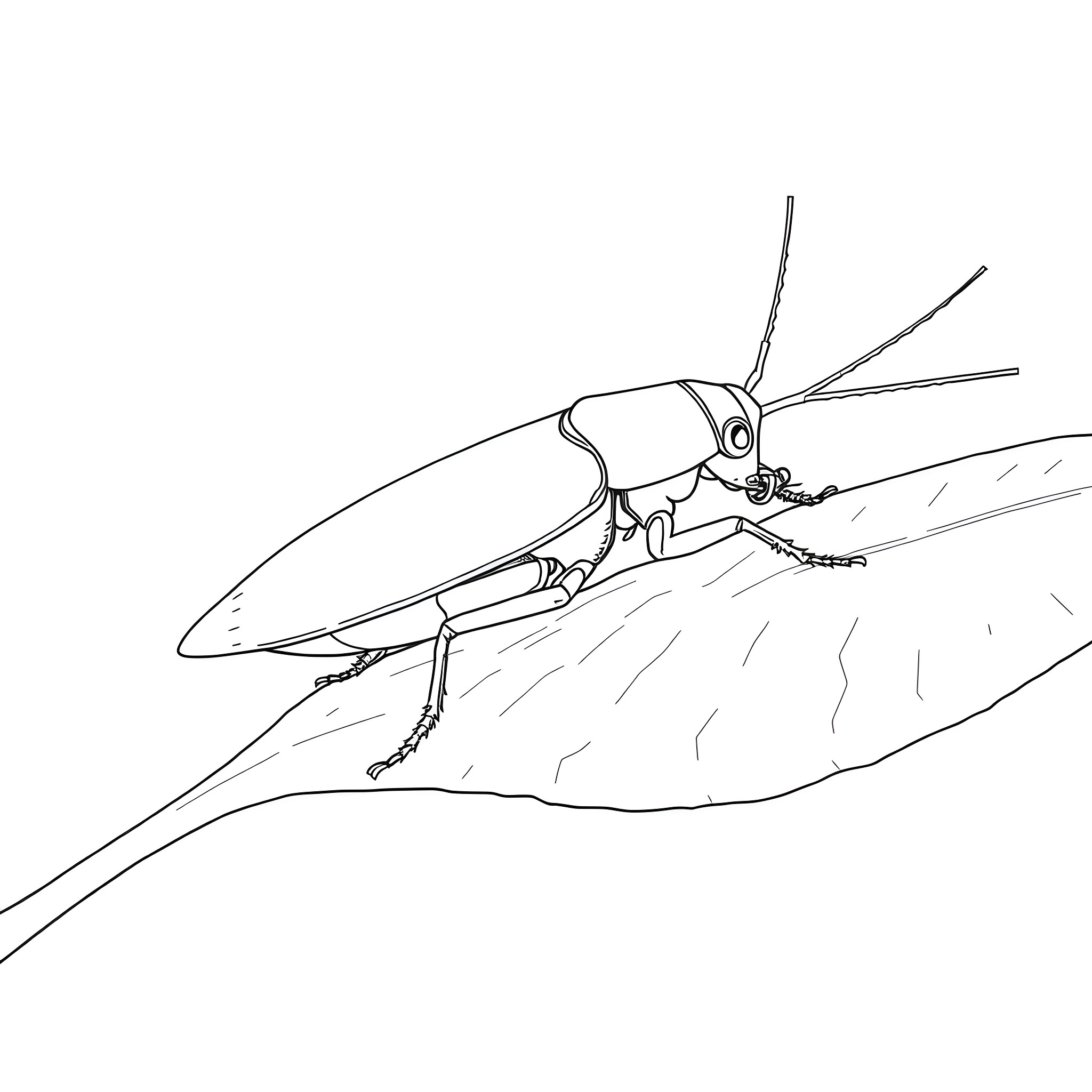 54 Best Cockroach Coloring Pages (Free Printable PDFs)