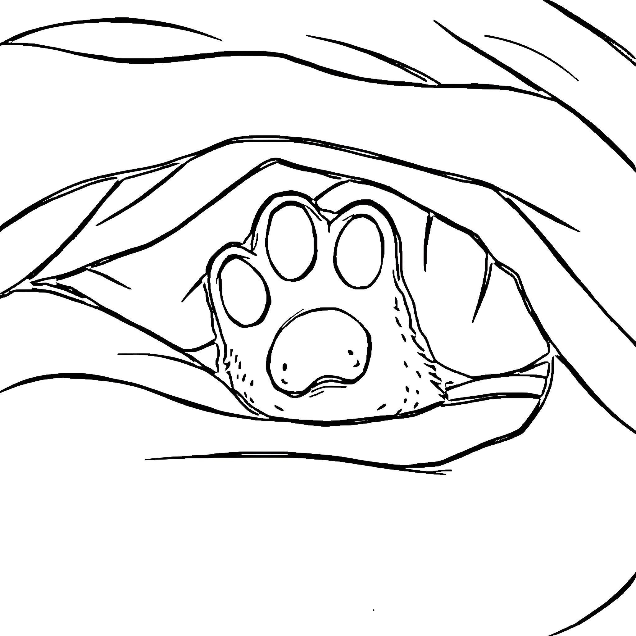 Best Paw Coloring Pages (Free Printable PDF)