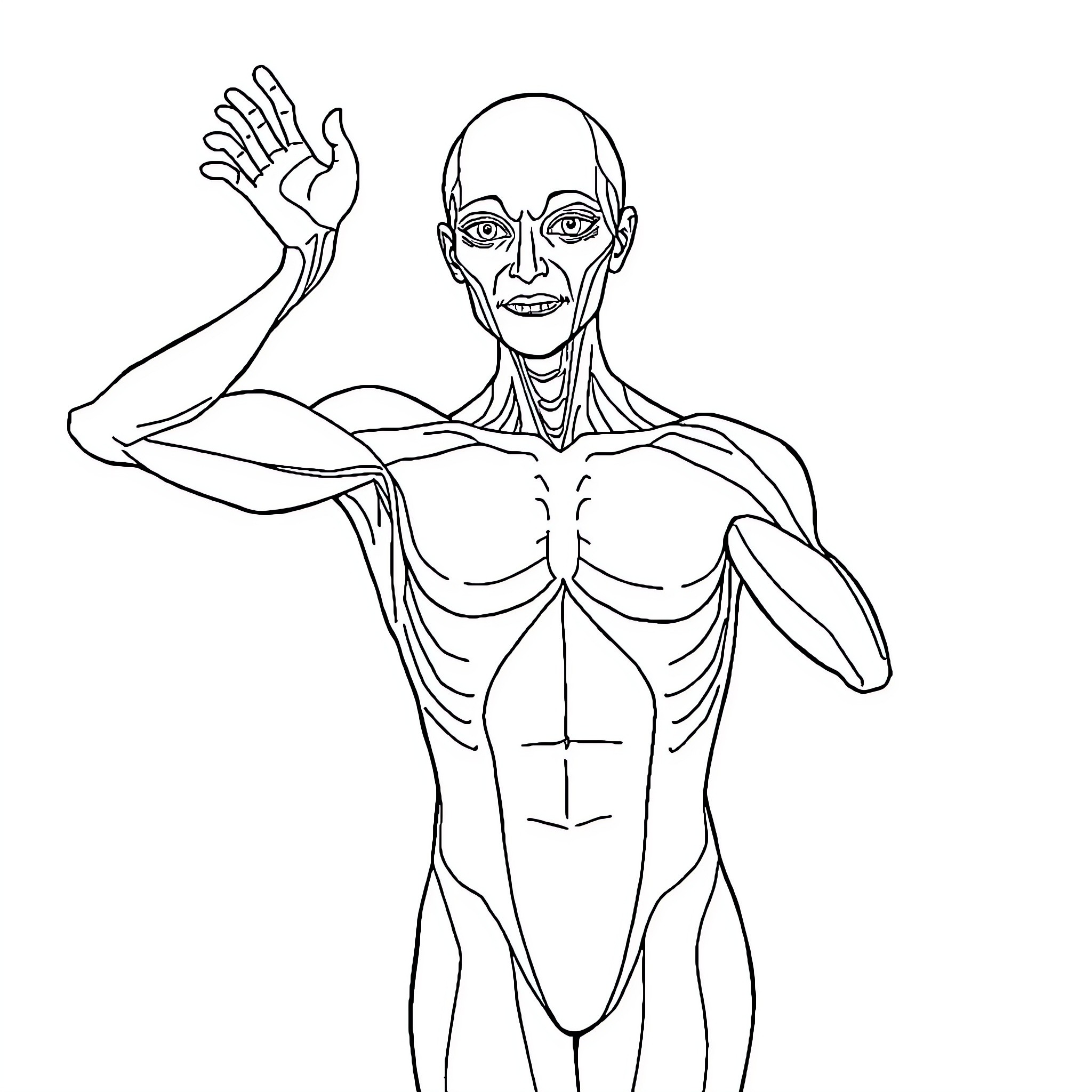 Best Human Body Part Coloring Pages (Free Printable PDF)