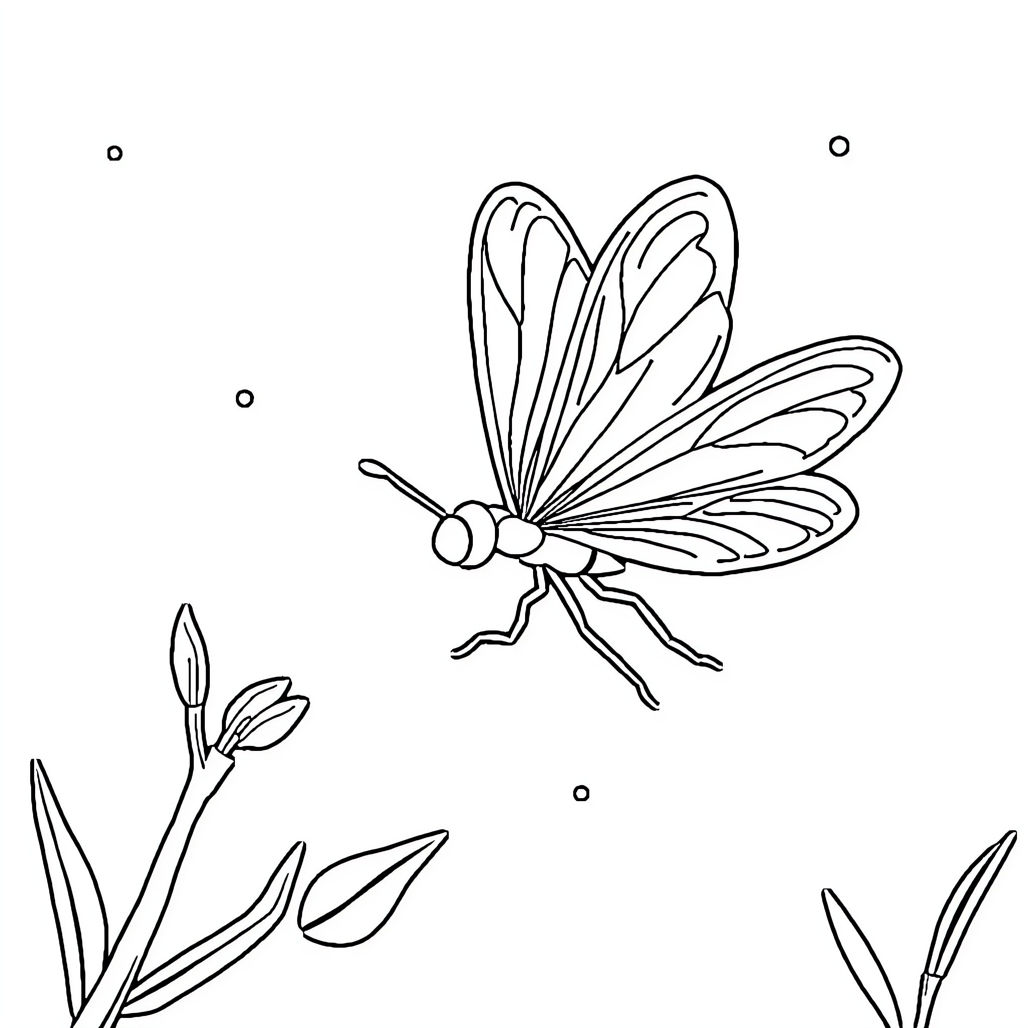 Best Firefly Coloring Pages (Free Printable PDF)