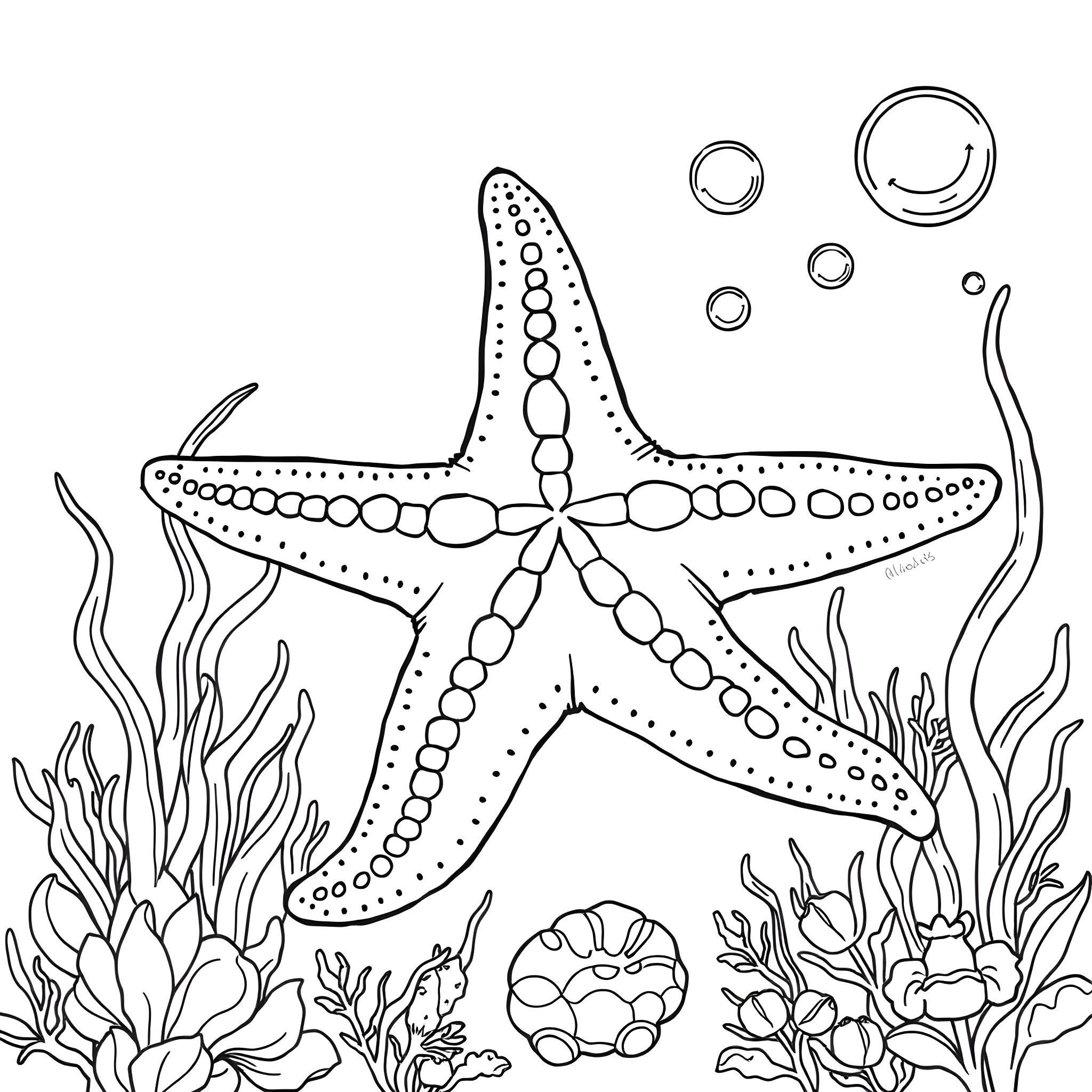 Best Starfish Coloring Pages (Free Printable PDF)