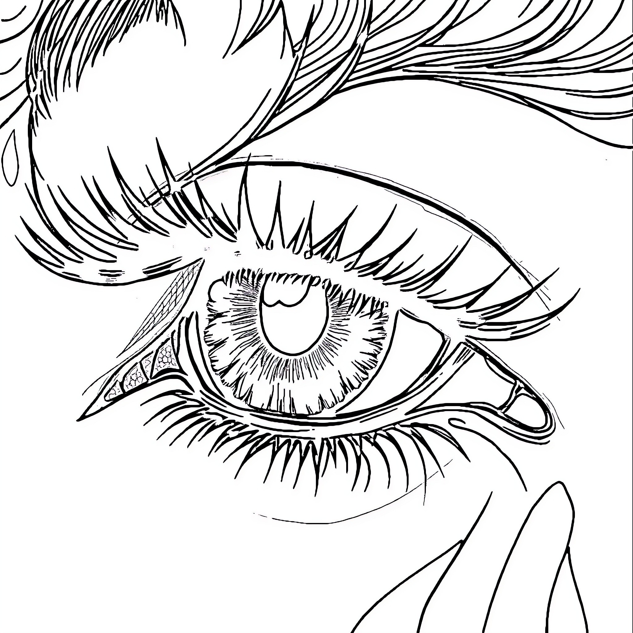 Best Eye Coloring Pages (Free Printable PDF)